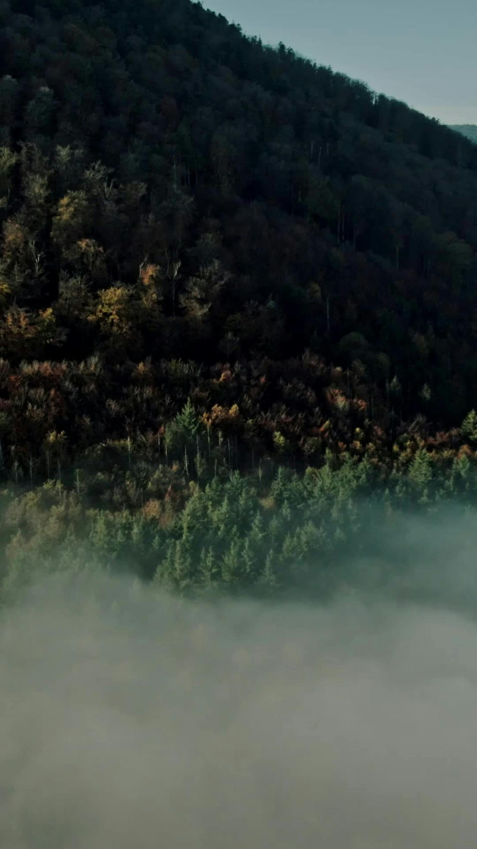 Reel Background Videos, Download The BEST Free 4k Stock Video Footage ...