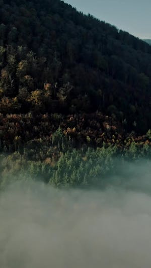 Lyric Background Videos, Download The BEST Free 4k Stock Video Footage ...