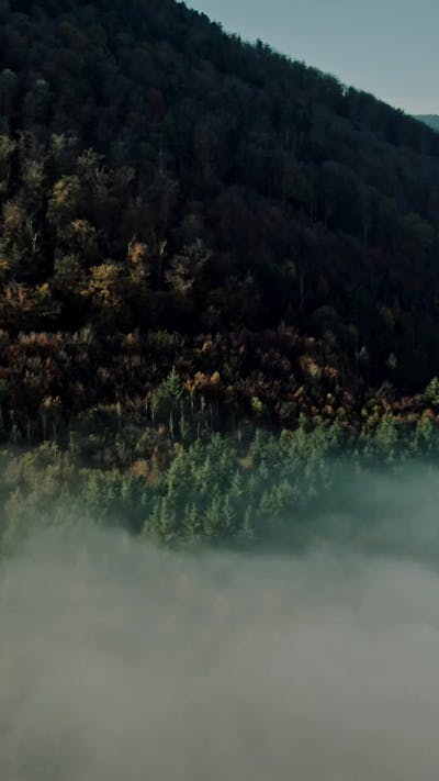 Reel Background Videos, Download The BEST Free 4k Stock Video Footage ...