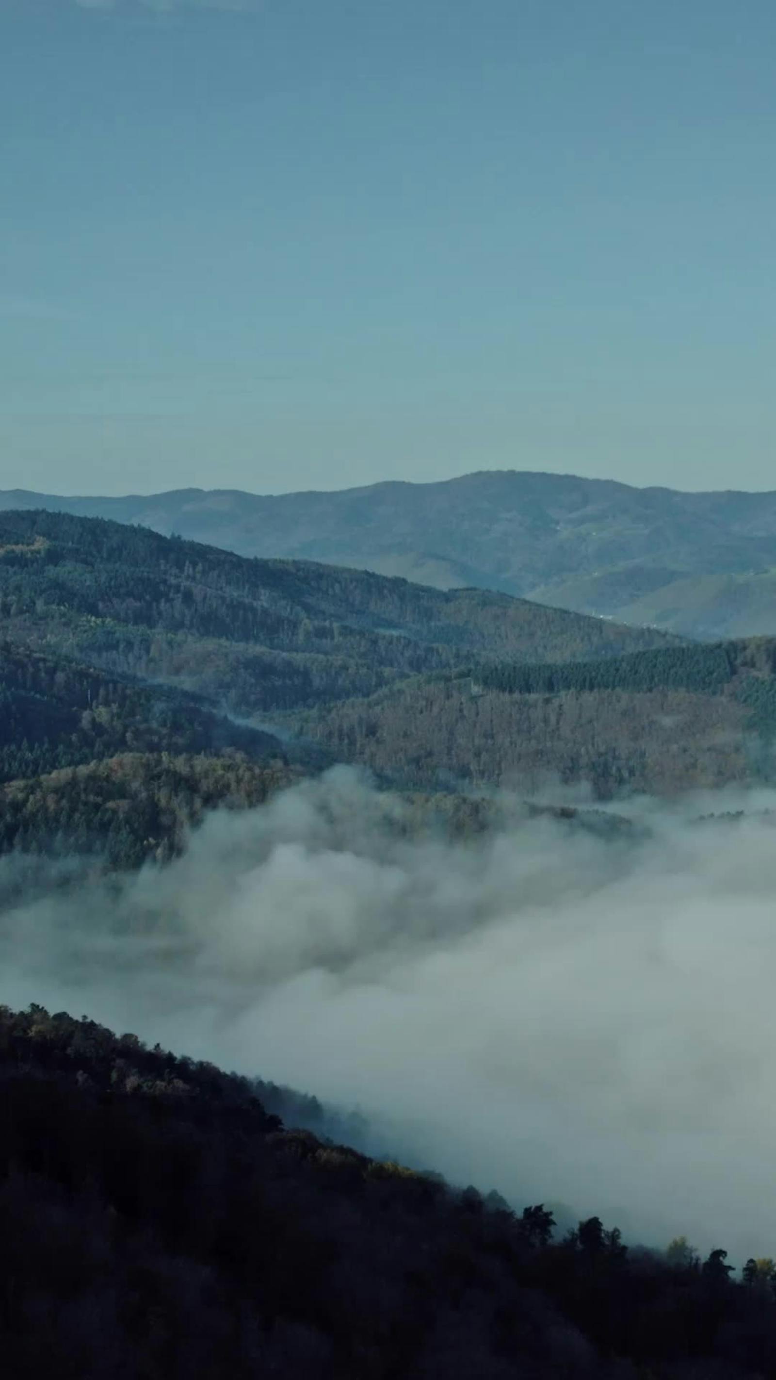 Reel Background Videos, Download The BEST Free 4k Stock Video Footage ...