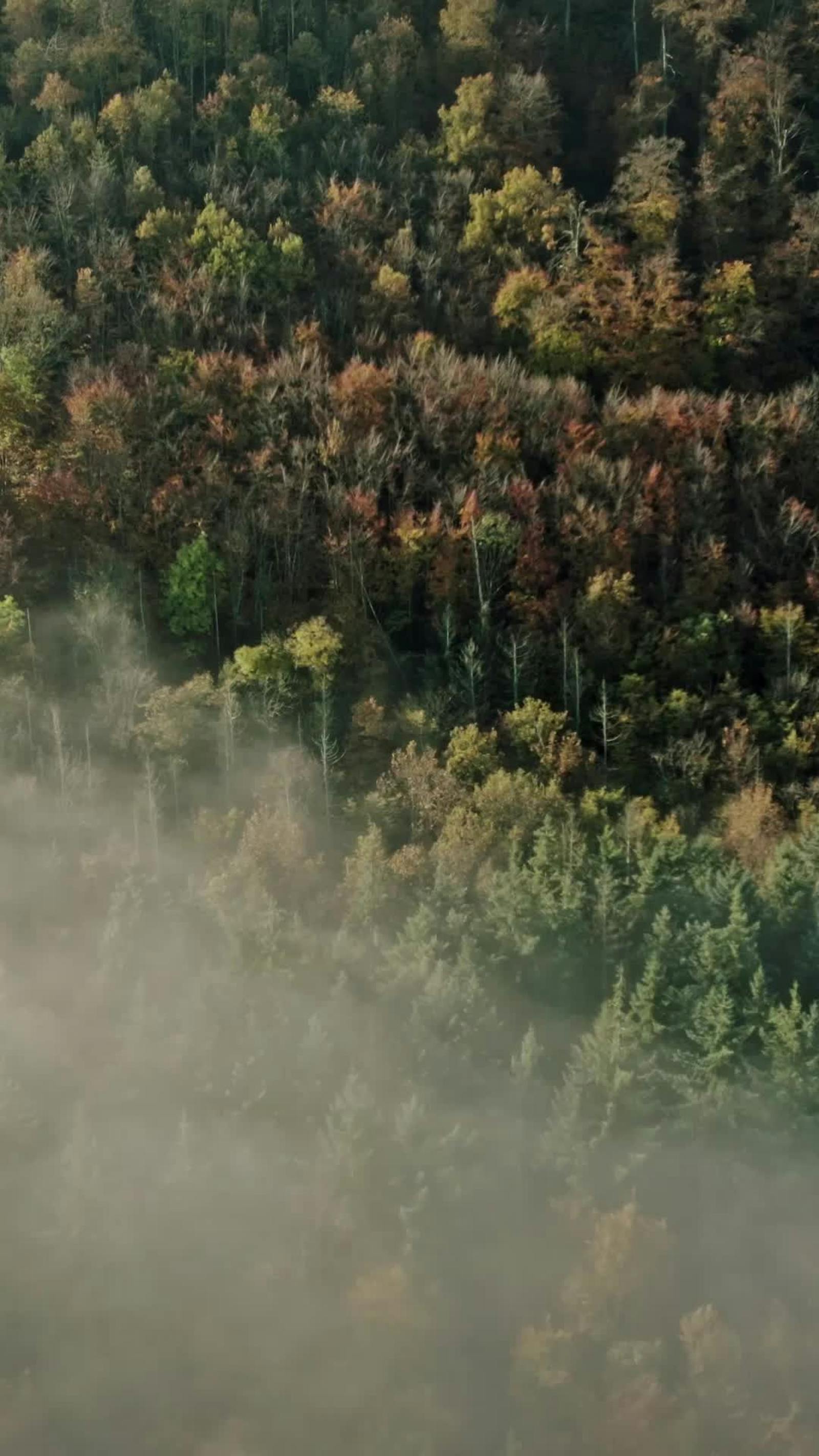 Reel Background Videos, Download The BEST Free 4k Stock Video Footage ...