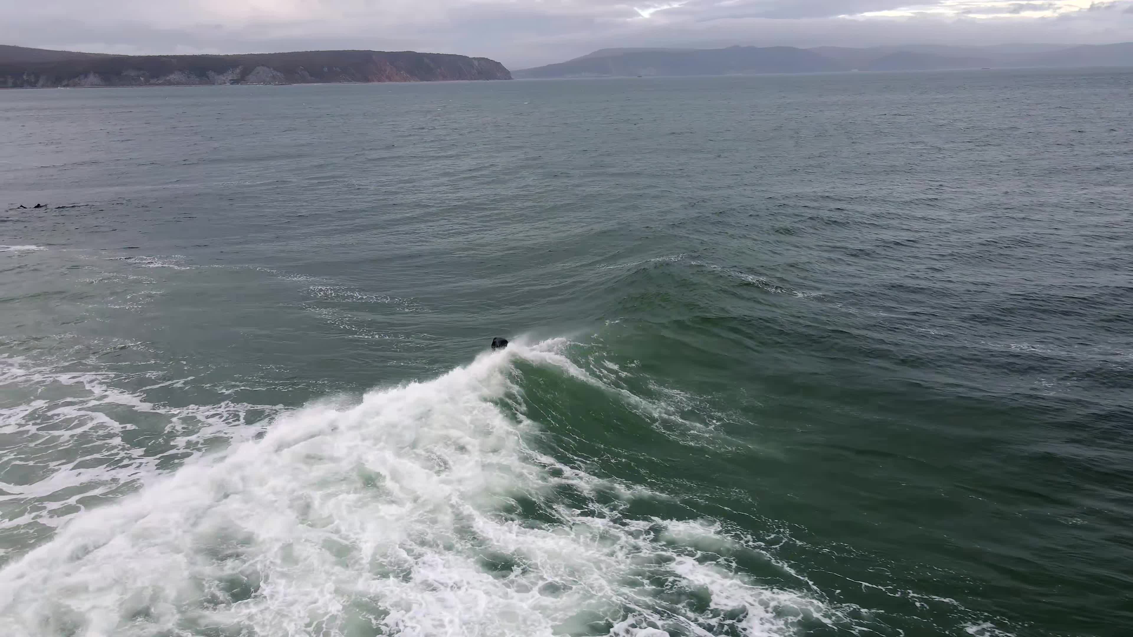 Surfer Riding Rolling Ocean Waves Free Stock Video Footage, Royalty ...