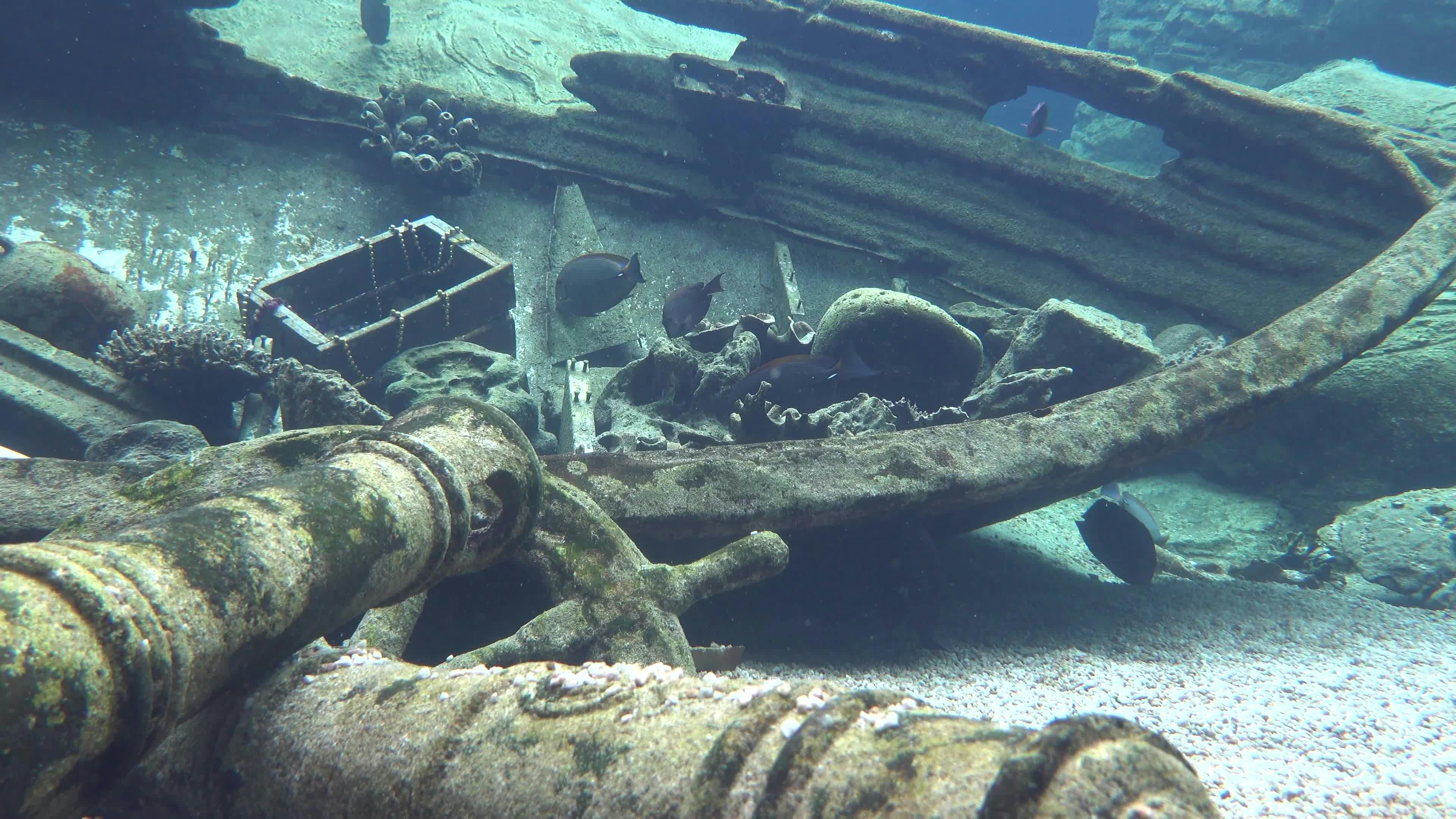 Underwater Shipwreck Aquarium Scene with Fish Free Stock Video Footage ...