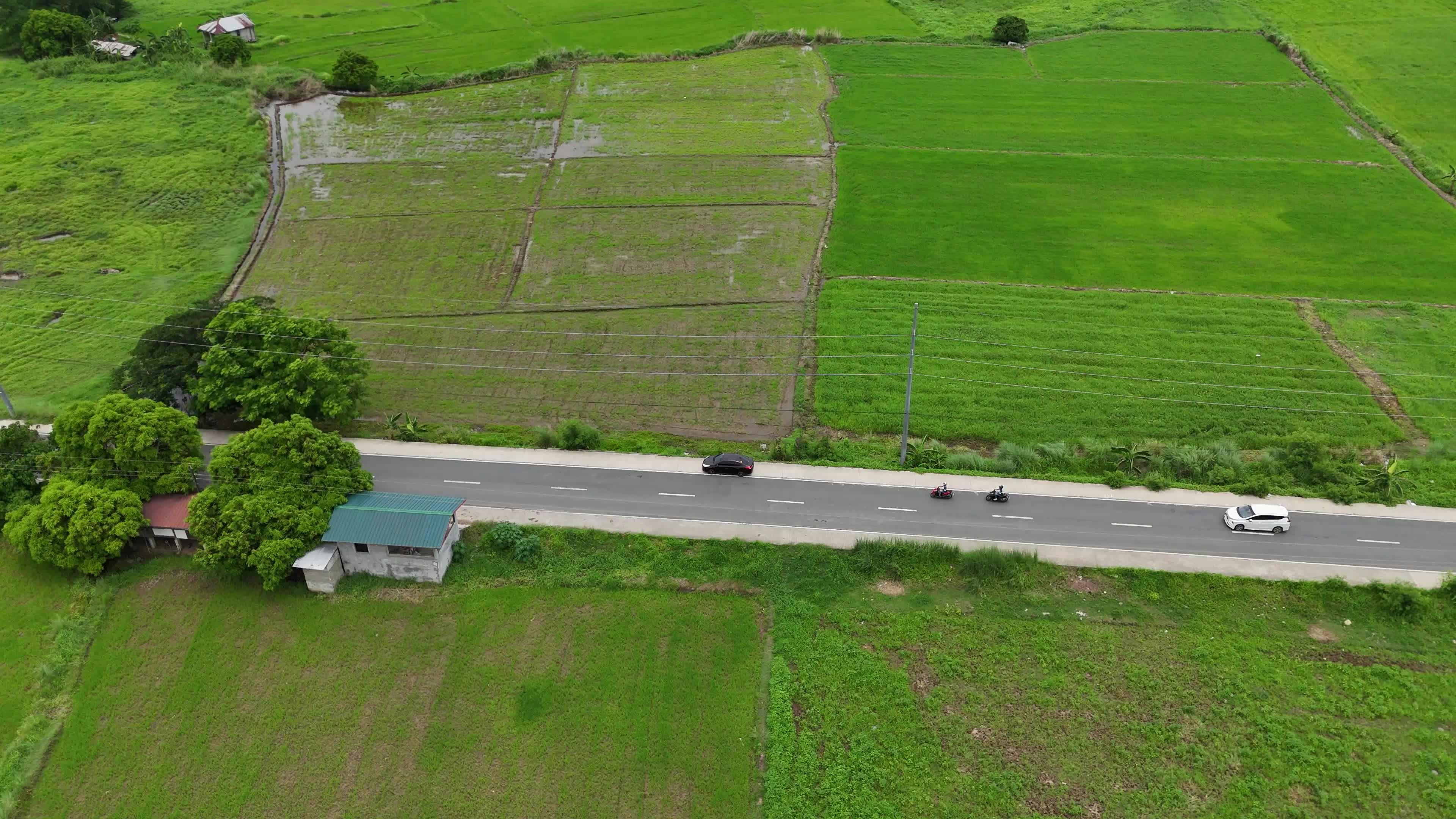 Rice Car Videos, Download The BEST Free 4k Stock Video Footage & Rice ...