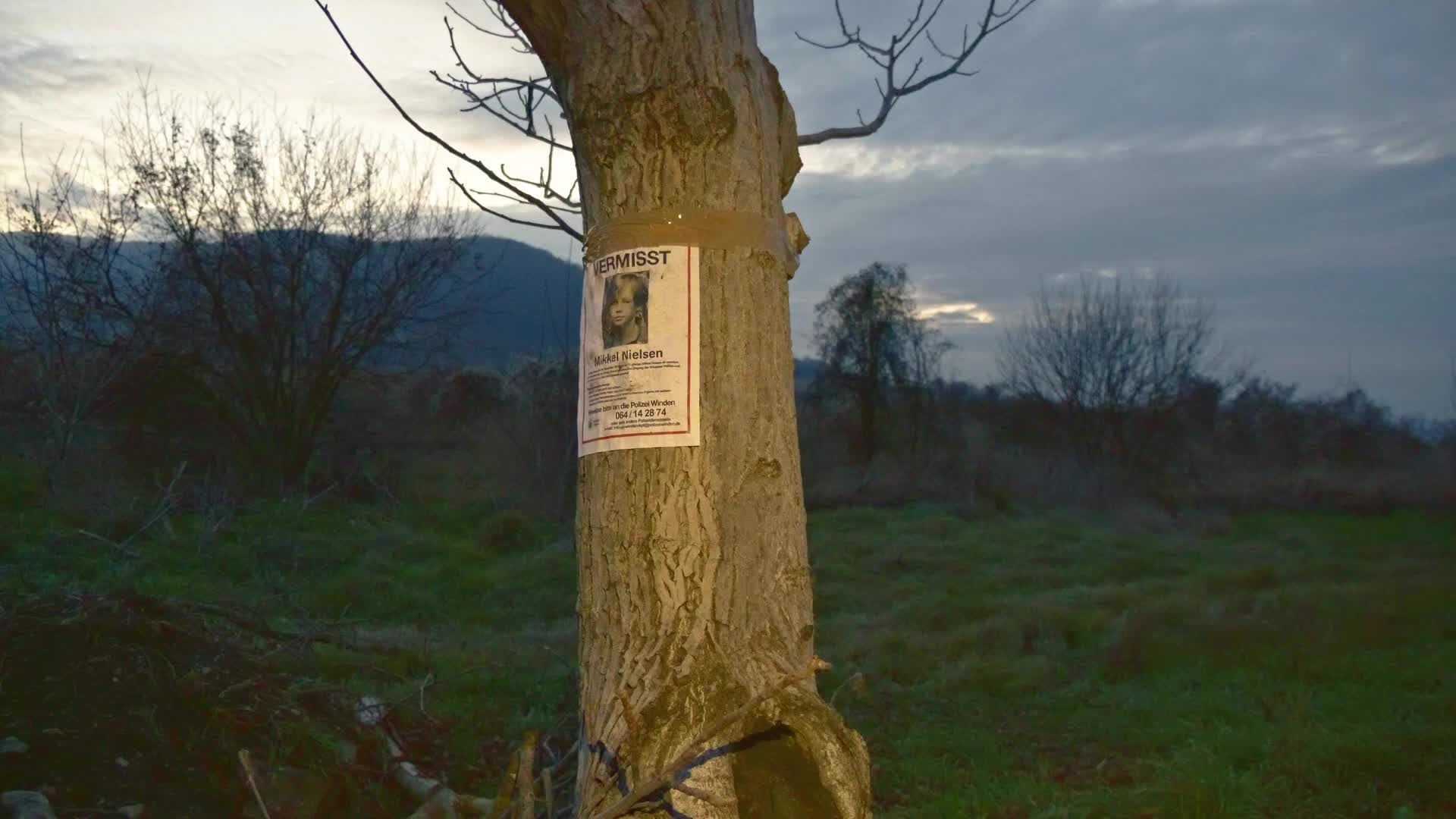 Missing Person Poster on Tree at Twilight Free Stock Video Footage ...