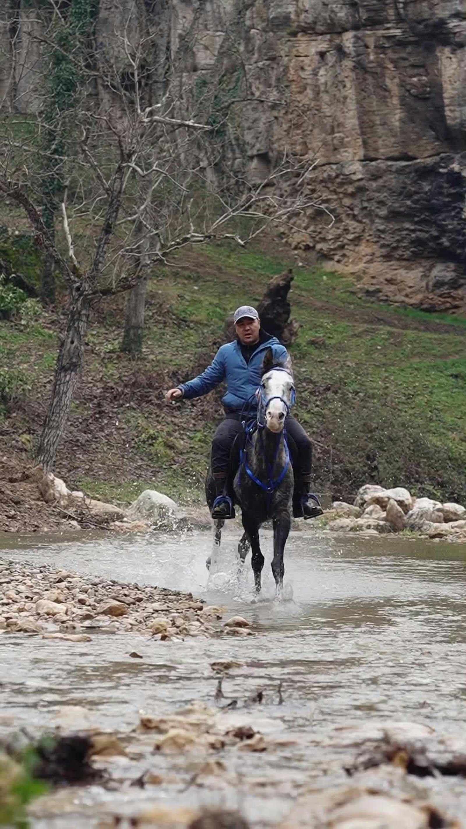 Short Video Horse Videos, Download The BEST Free 4k Stock Video Footage ...