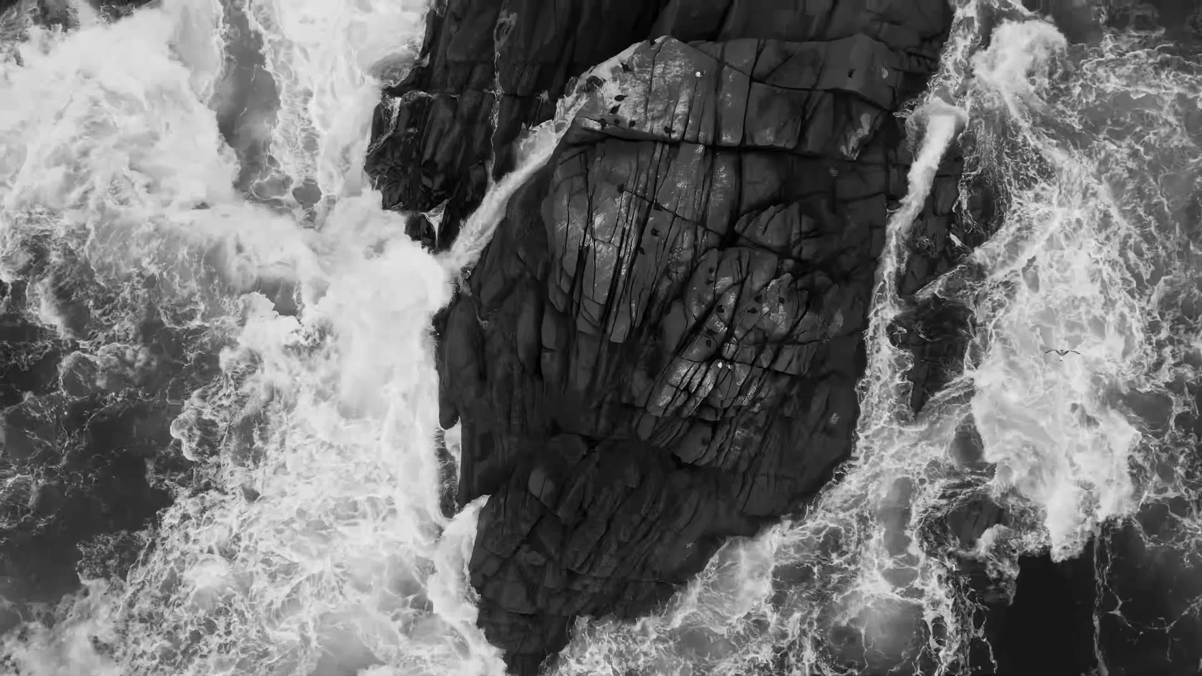 Dynamic Texture Videos, Download The BEST Free 4k Stock Video Footage ...