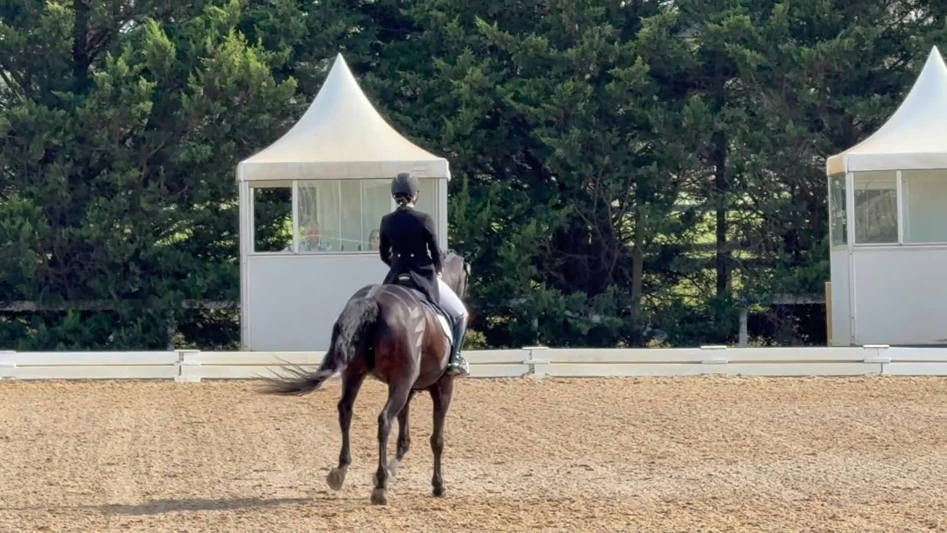 Horseback Riding On Top Of Plateau Meadow Free Stock Video Footage ...