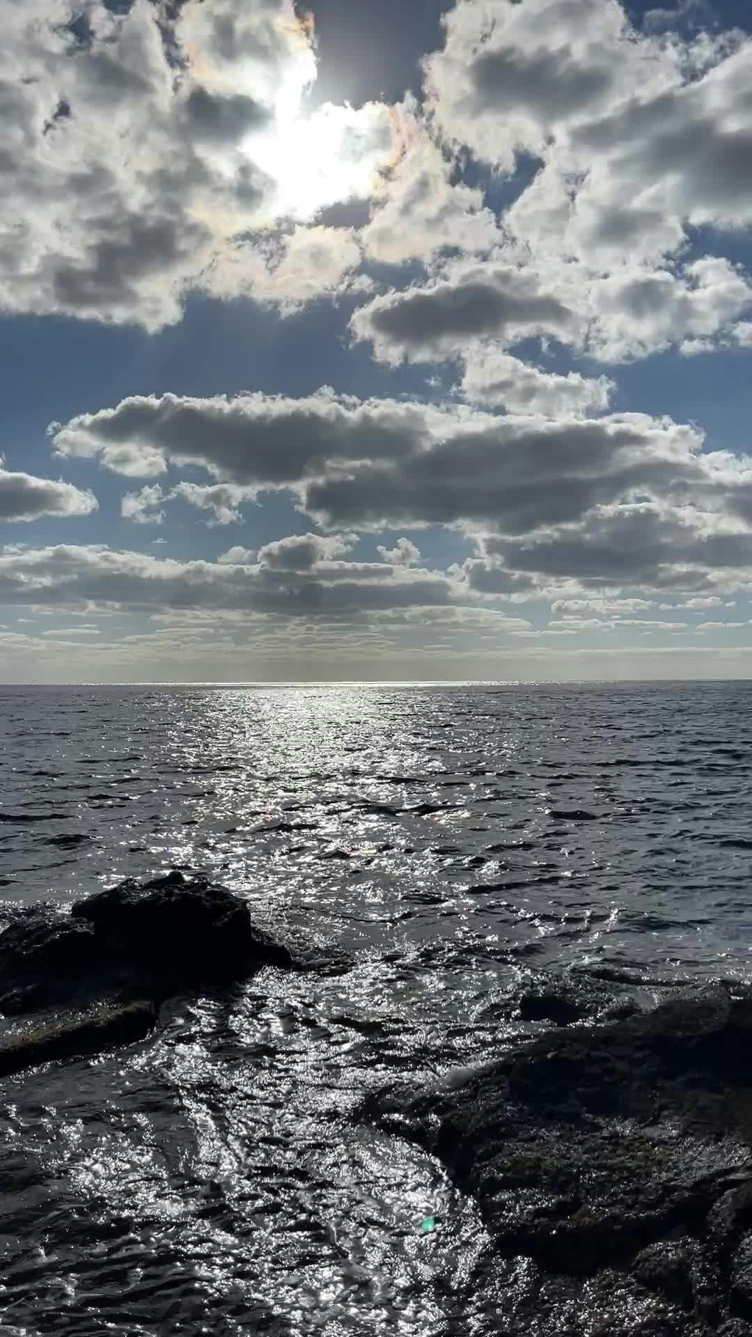 Unsplash Video Videos, Download The BEST Free 4k Stock Video Footage ...