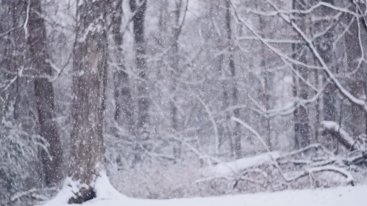Snow Videos, Download The BEST Free 4k Stock Video Footage & Snow HD ...