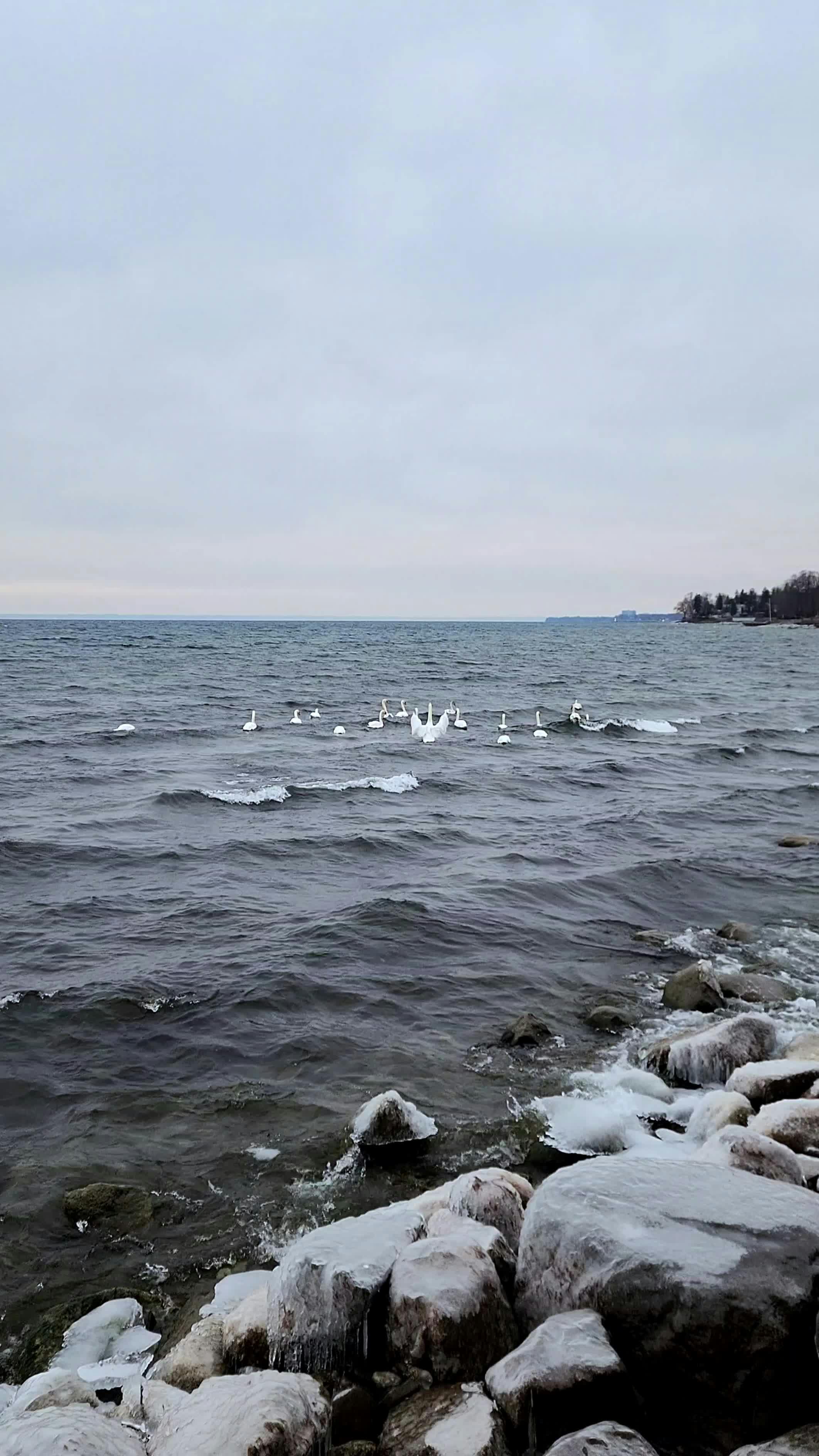 Cold Water Videos, Download The BEST Free 4k Stock Video Footage & Cold ...