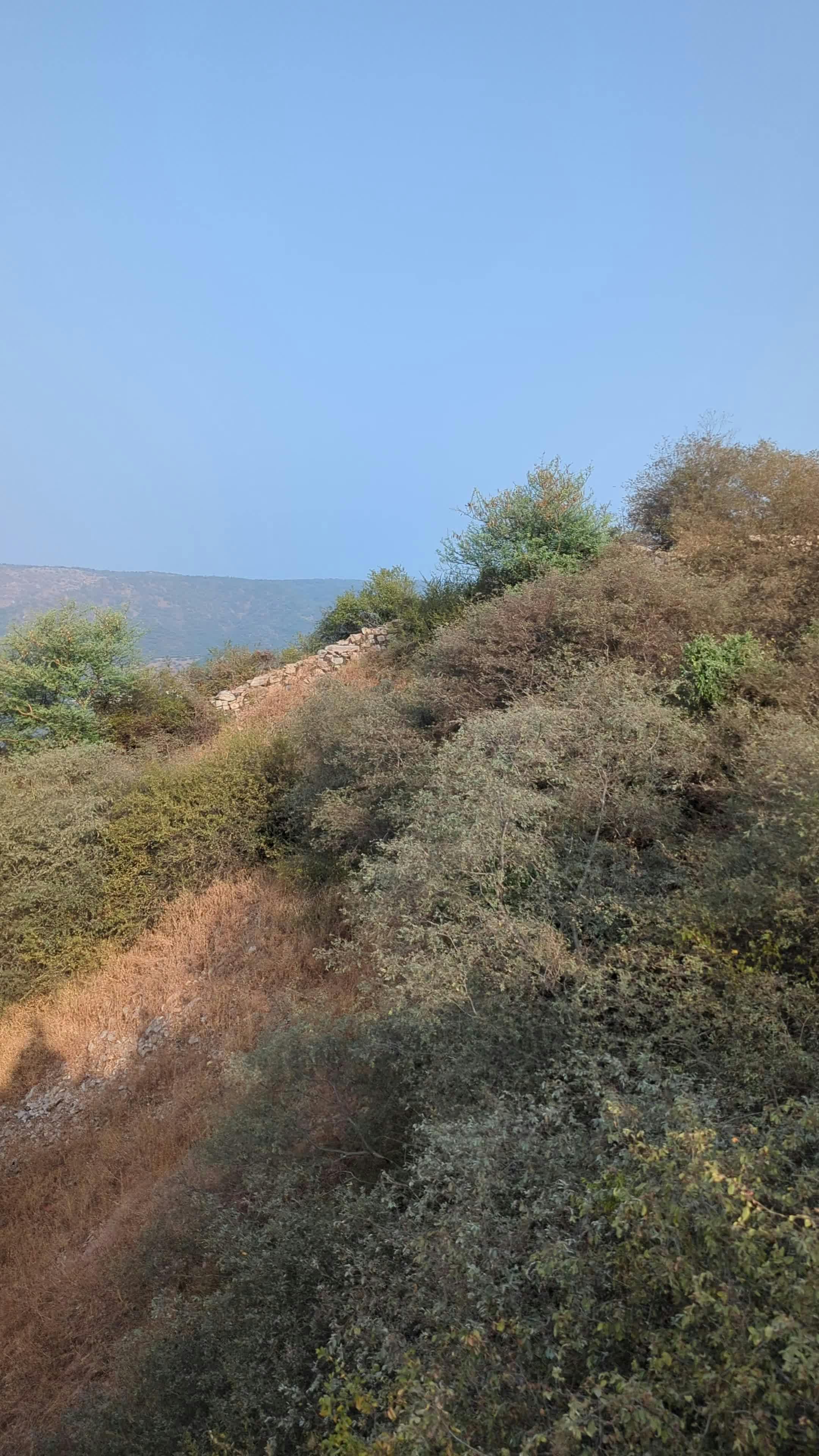 Indian Reels Videos, Download The BEST Free 4k Stock Video Footage ...