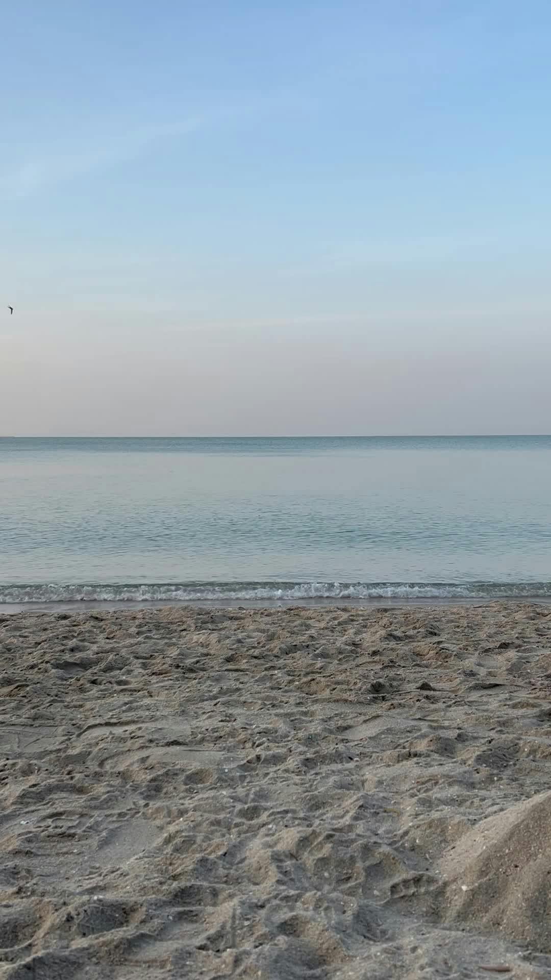 pipop kunachon - 写真