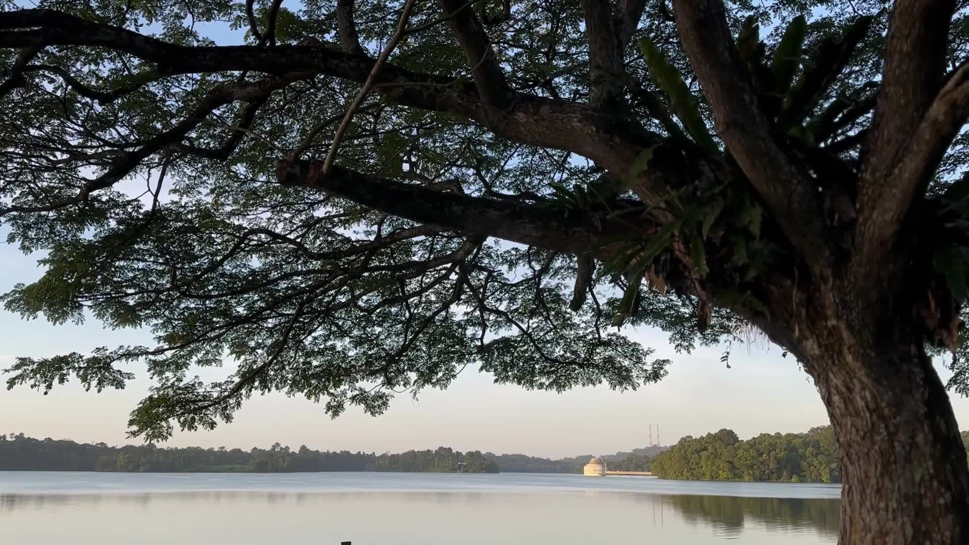 Sunrise Youtube Background Videos, Download The BEST Free 4k Stock ...