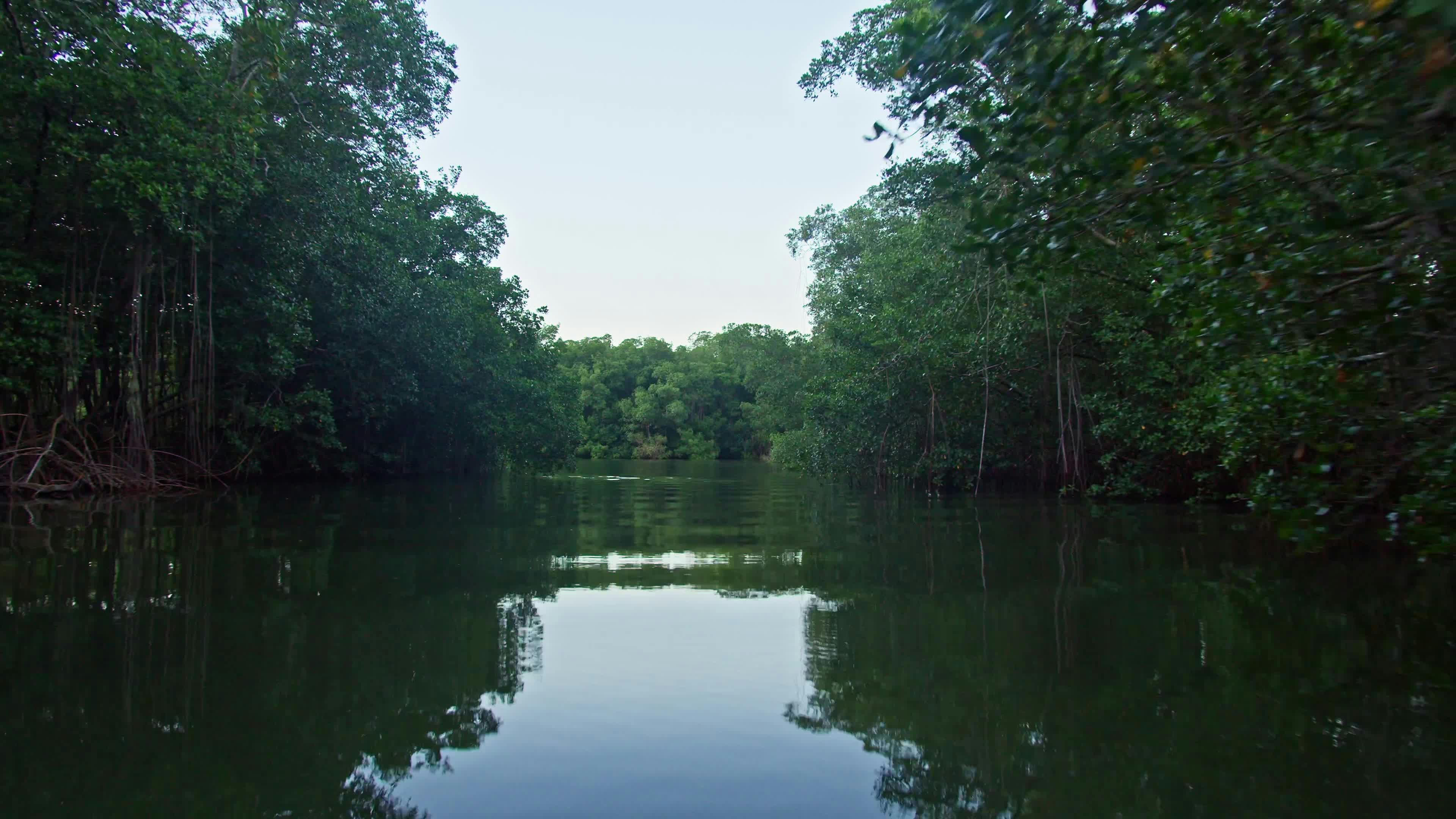 River Reflections Videos, Download The BEST Free 4k Stock Video Footage ...