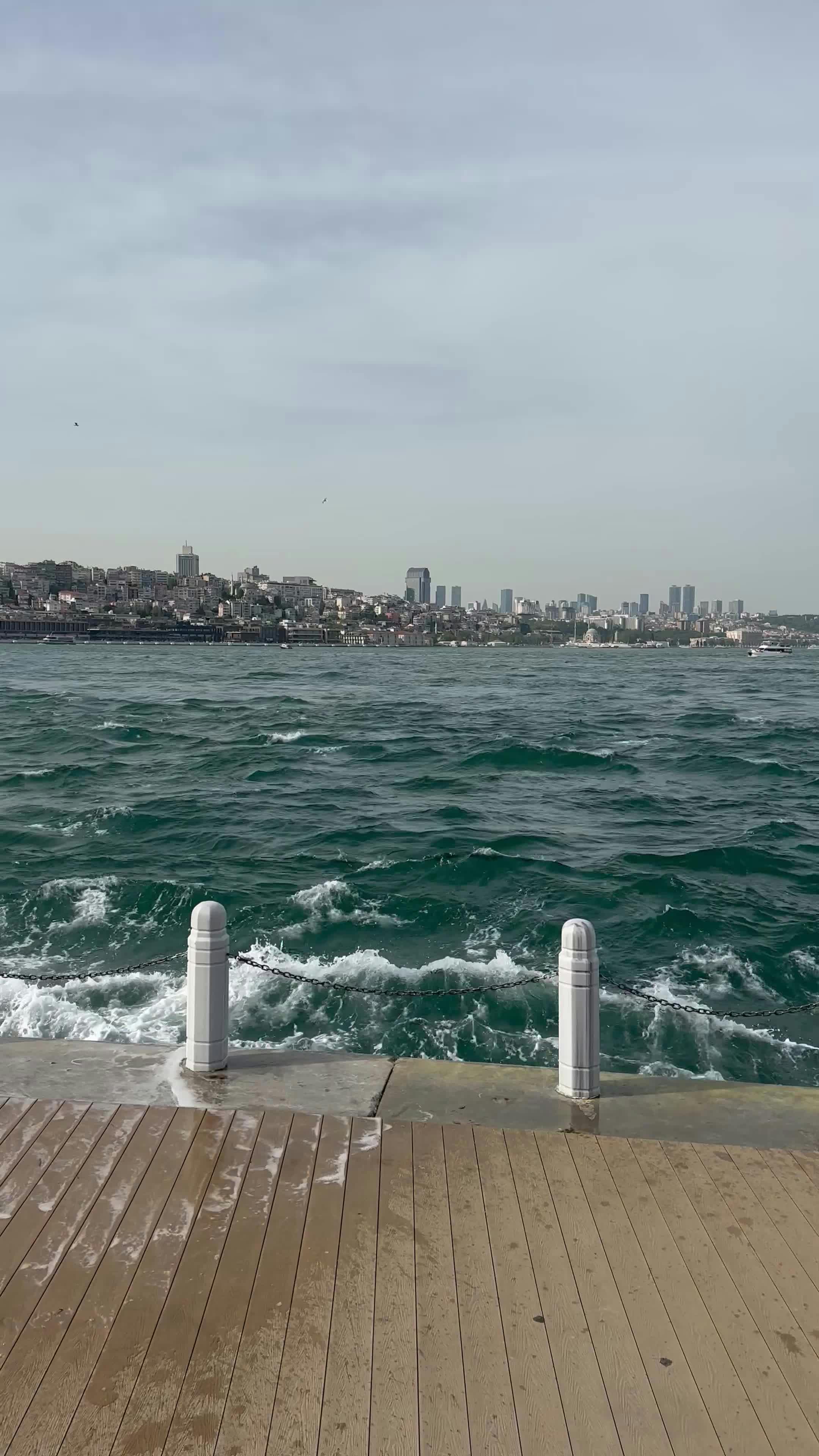 Modellen Port Videos, Download The BEST Free 4k Stock Video Footage ...