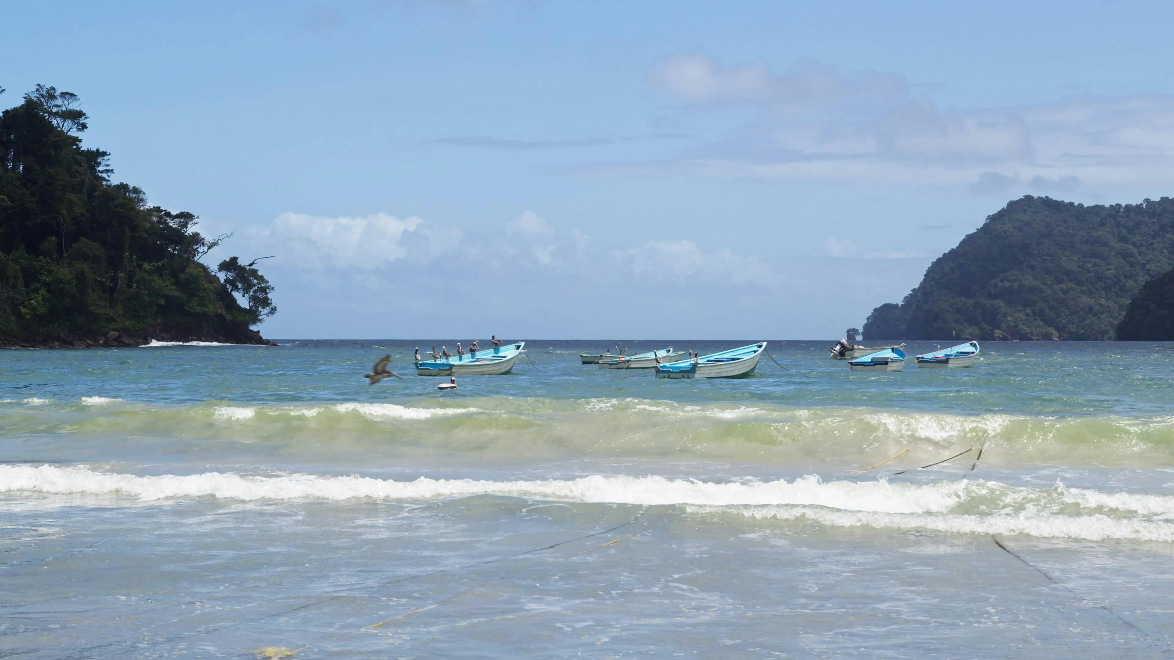 Serene Caribbean Fishing Boats at Maracas Beach Free Stock Video ...