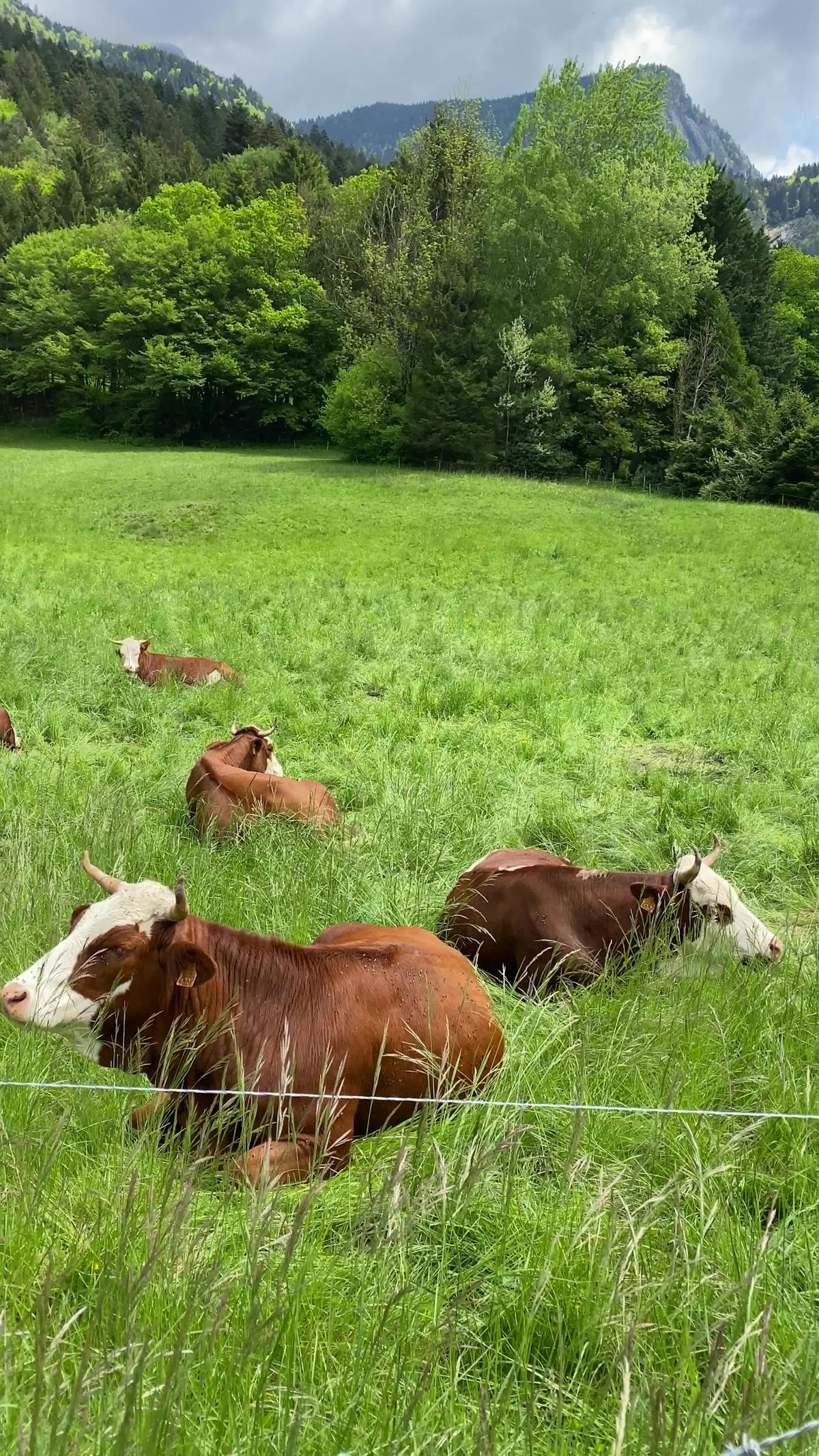 Kissing+Videos+Youtube+Not+For+Kids Videos, Download The BEST Free 4k ...