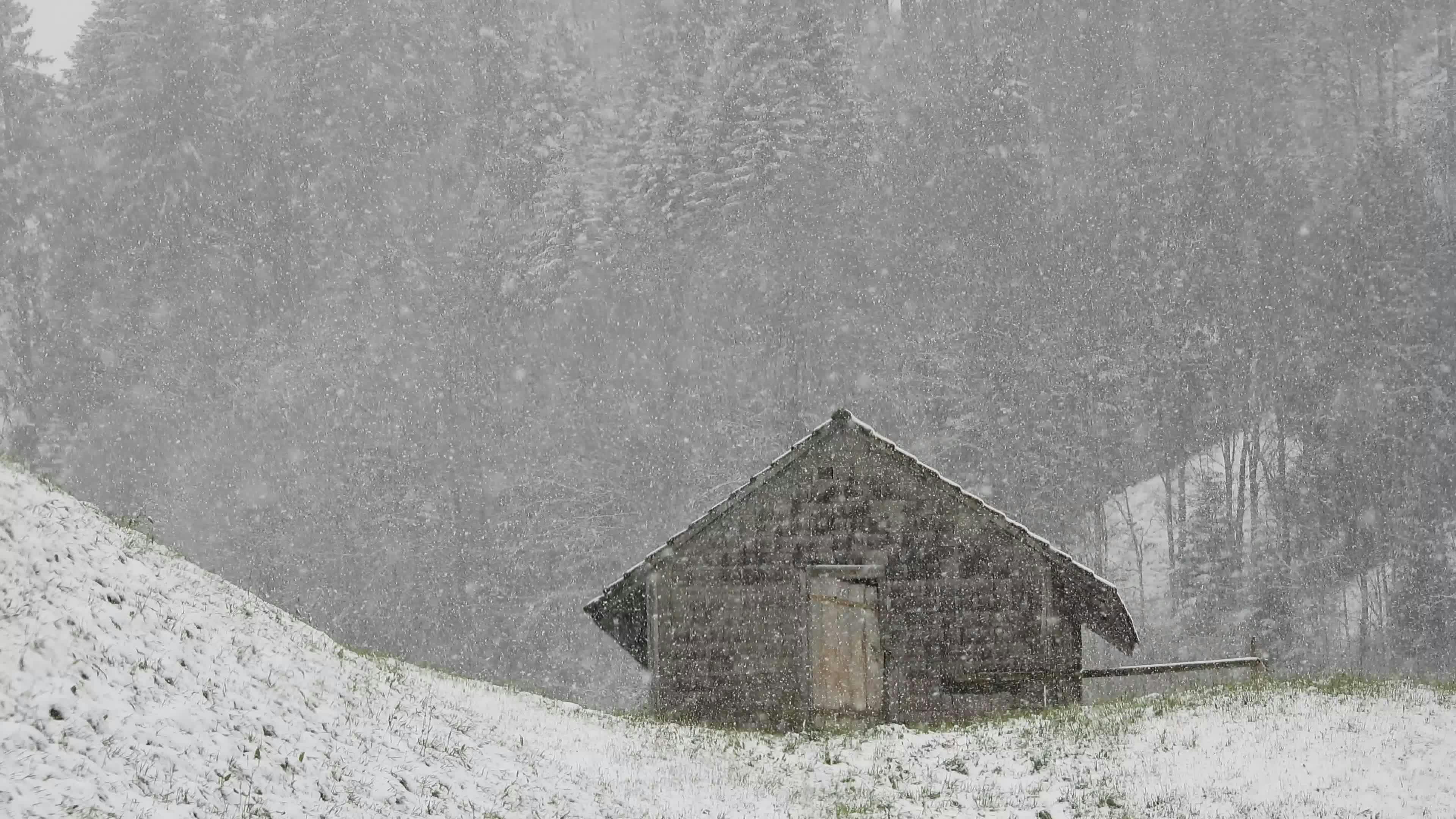 Snowfall Around Rustic Wooden Cabin in Winter Free Stock Video Footage ...