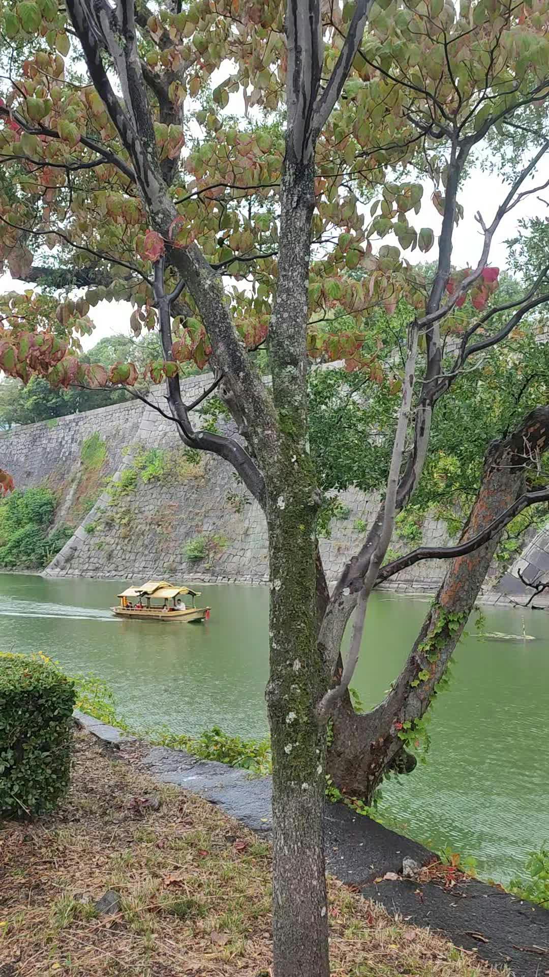 Operasi Tokyo Videos, Download The BEST Free 4k Stock Video Footage ...