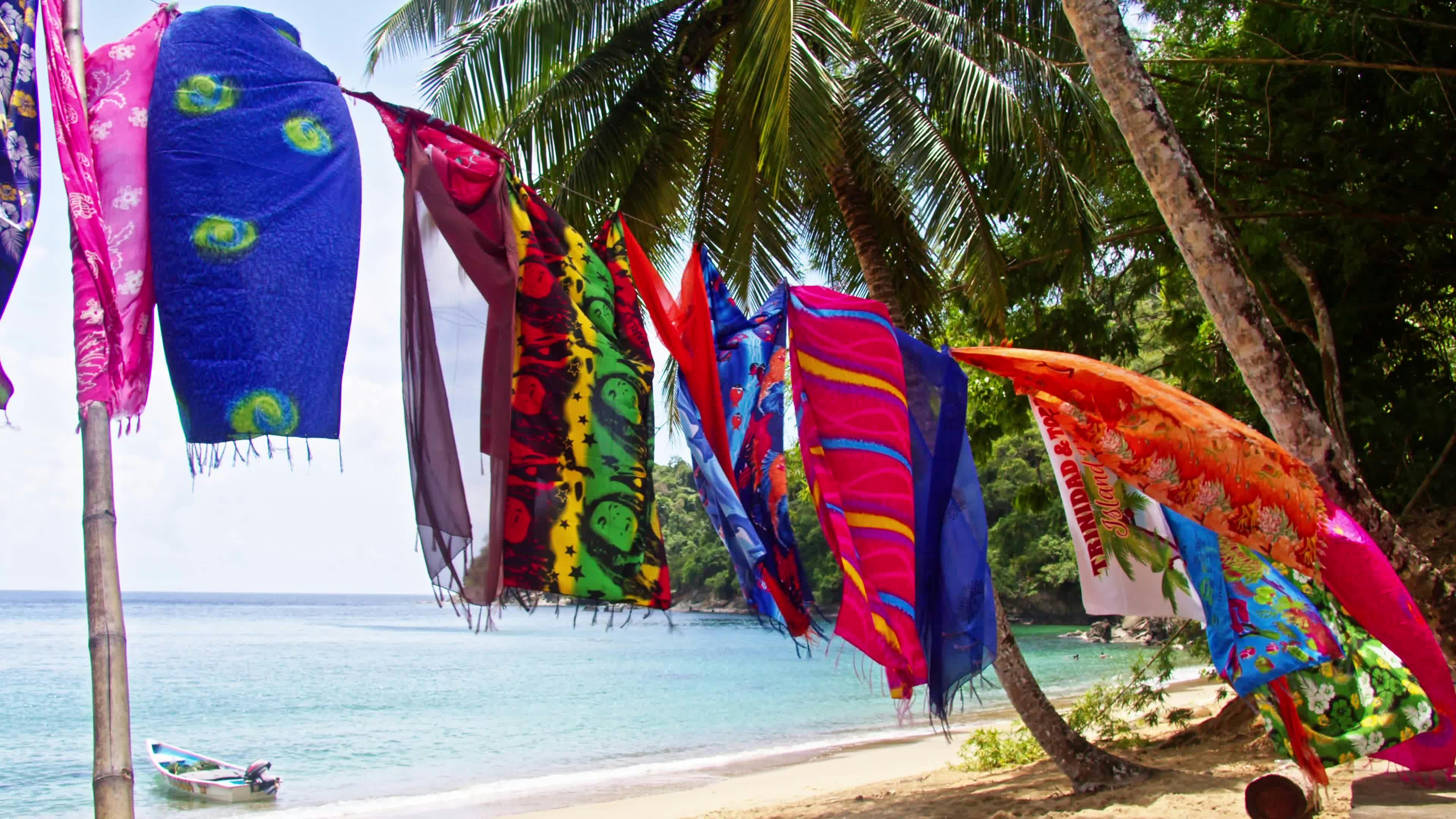 Brash Color Videos, Download The BEST Free 4k Stock Video Footage ...