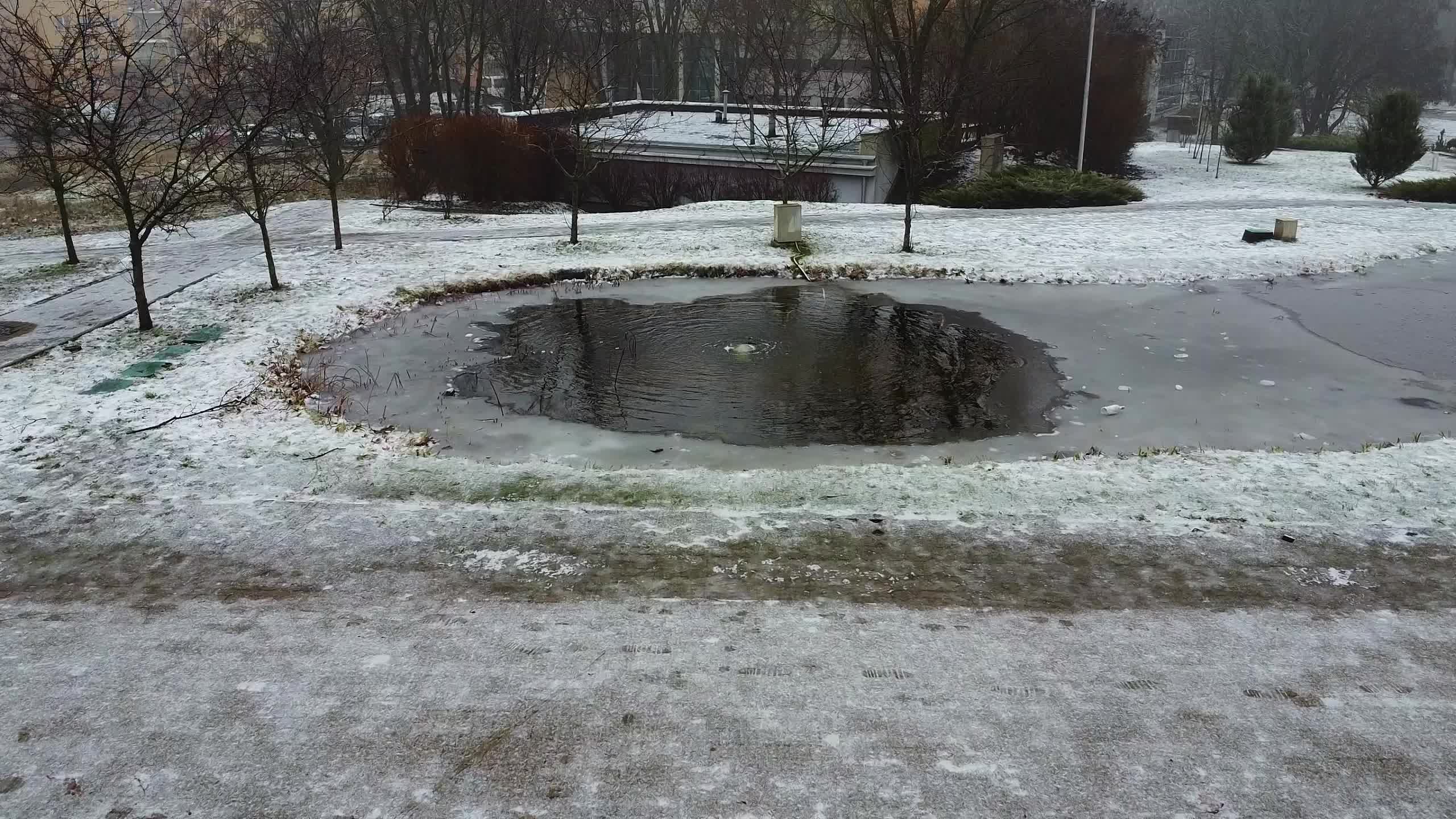Aerial View of Winter Frozen Pond Landscape Free Stock Video Footage ...