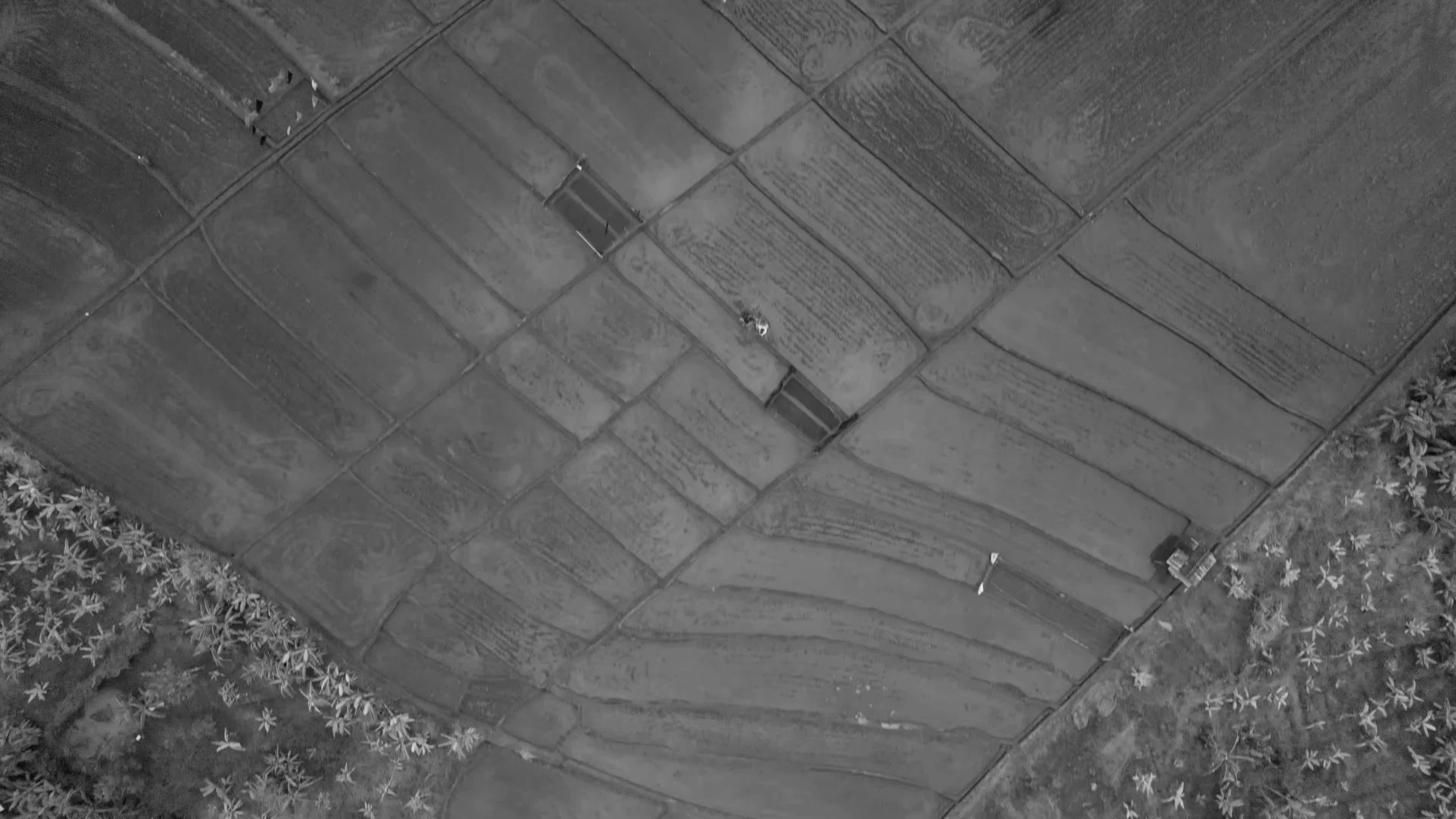 Farm Patterns Videos, Download The BEST Free 4k Stock Video Footage ...