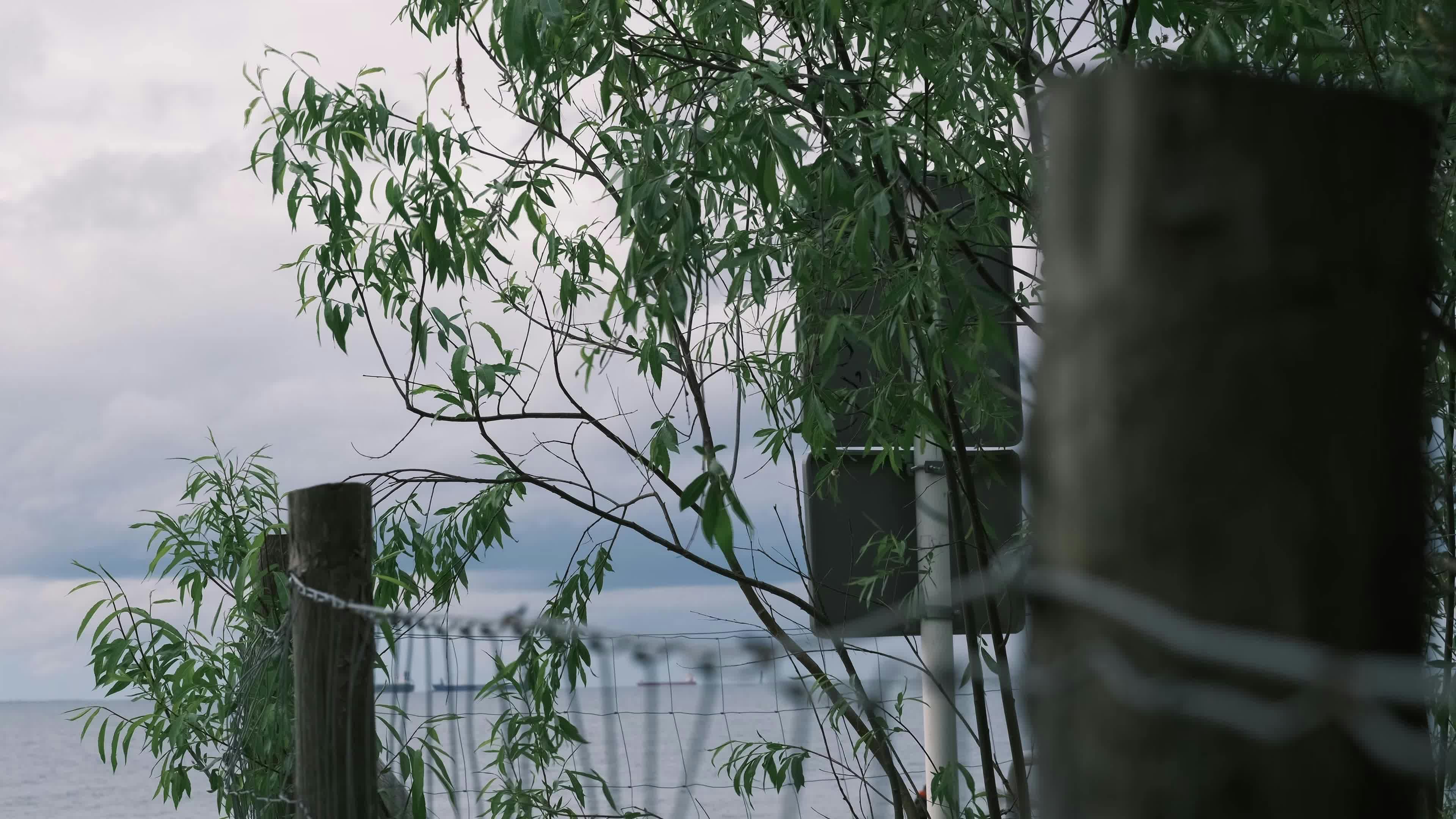 Calming Nature Videos, Download The BEST Free 4k Stock Video Footage ...