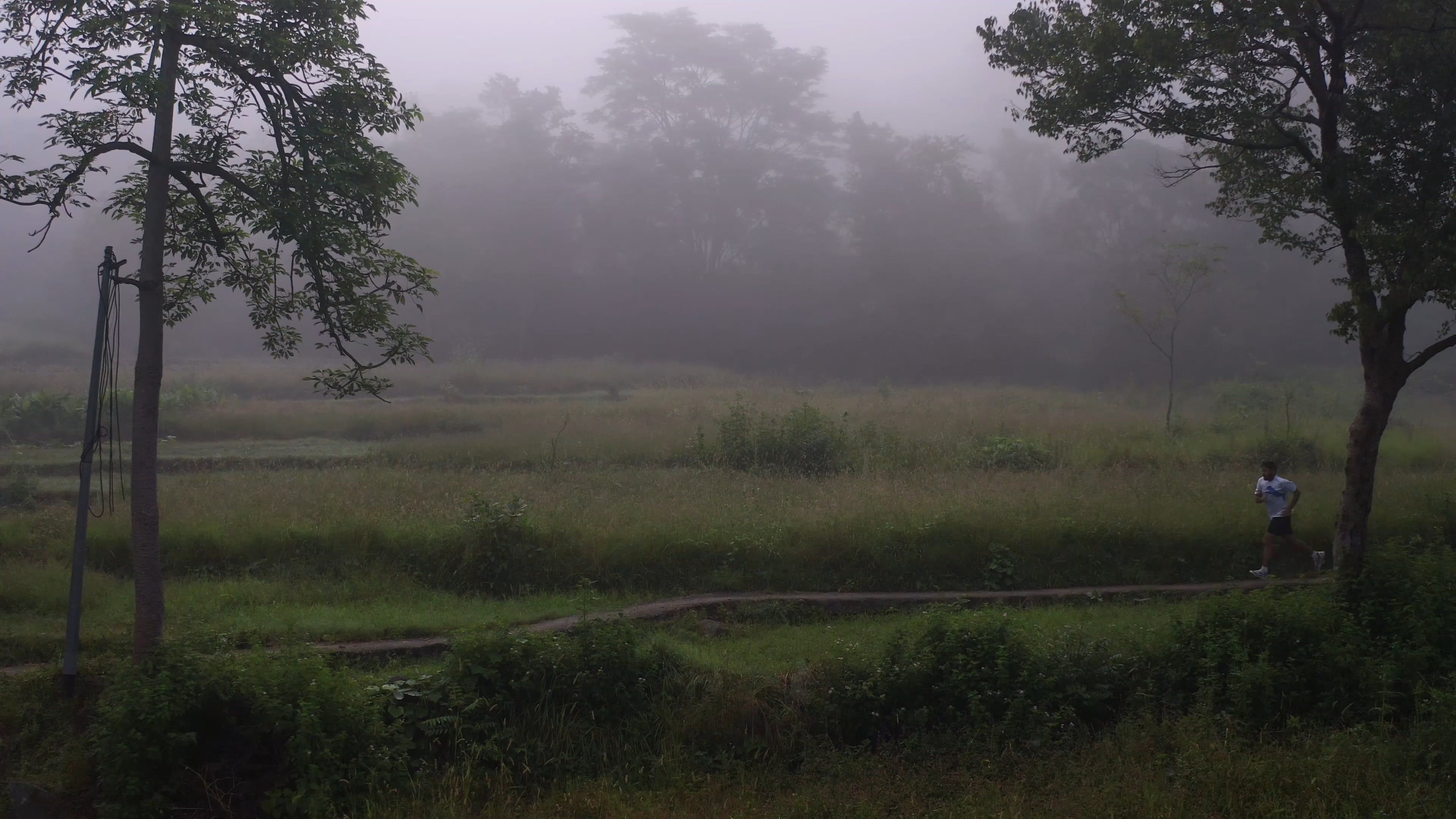 A Man Jogging In The Morning At A Man Made Trail Free Stock Video ...