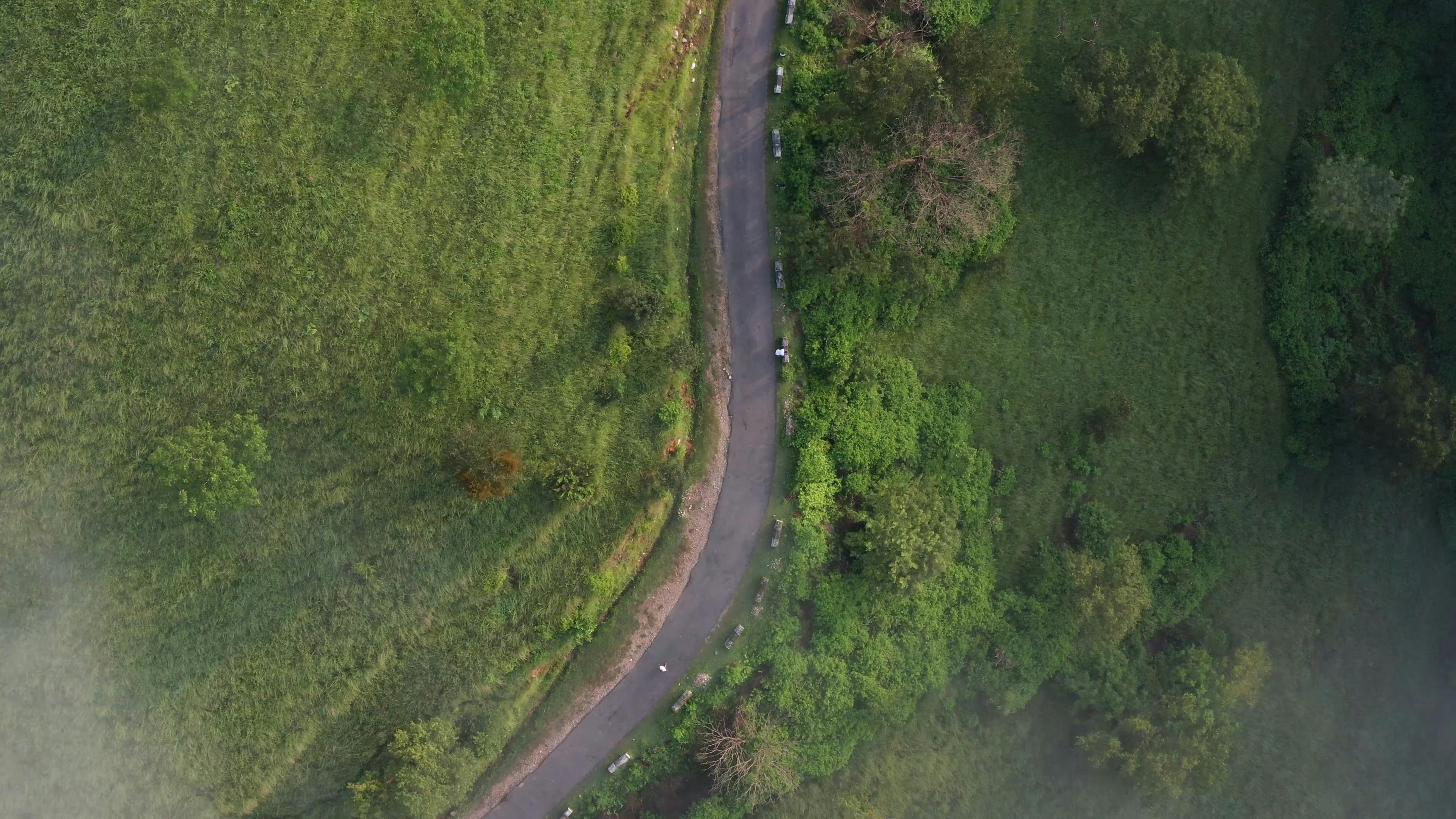 Bird's Eye View Of A Road Between Grass Fields · Free Stock Video