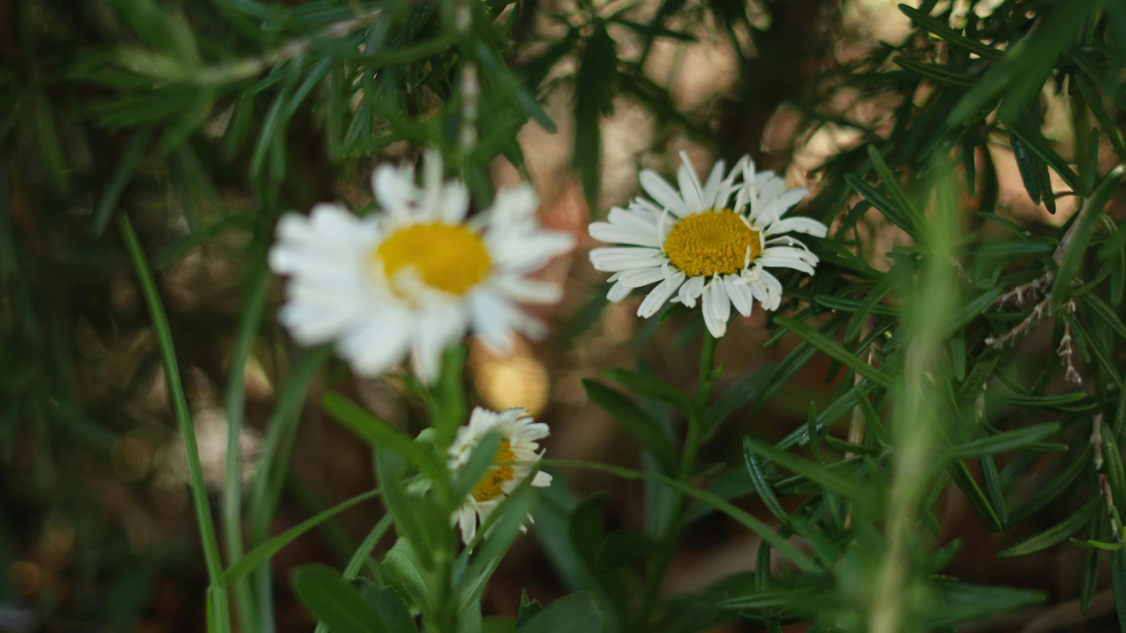 Green Excel Background Videos, Download The BEST Free 4k Stock Video ...