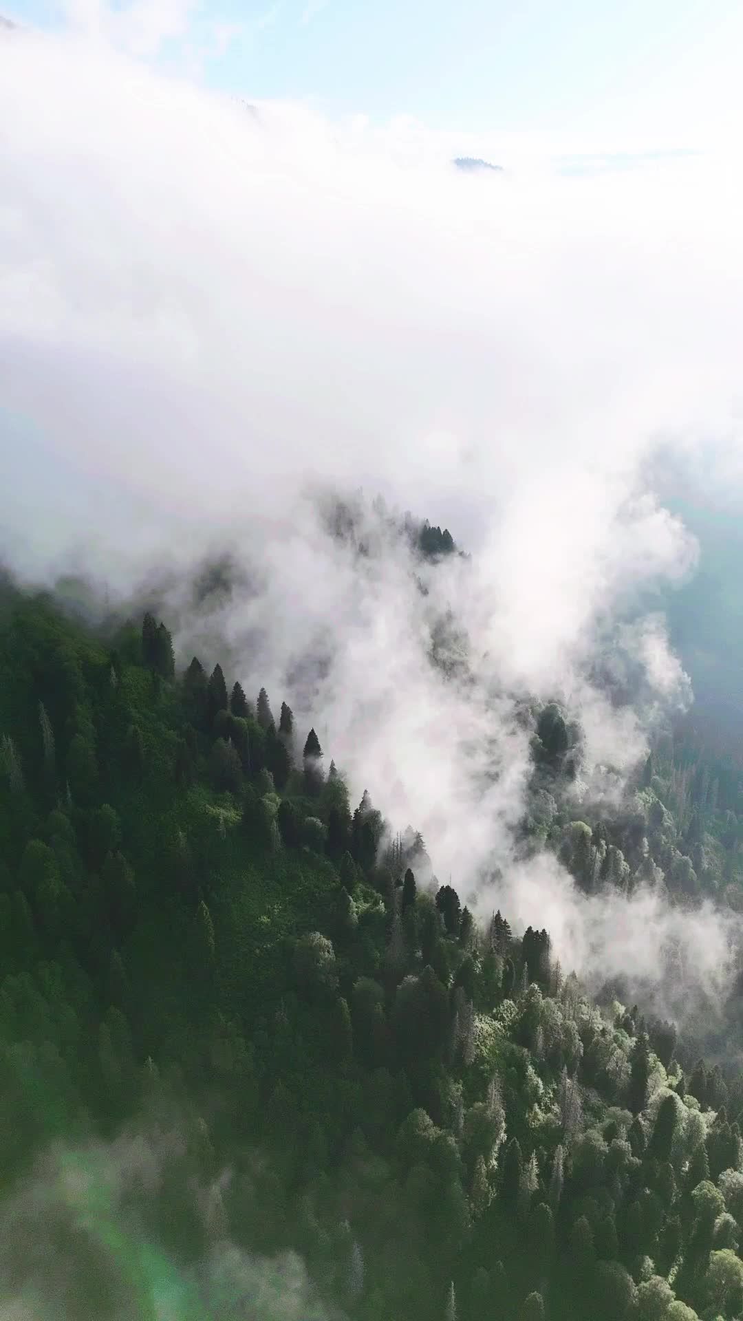 Erp Resources Videos, Download The BEST Free 4k Stock Video Footage ...