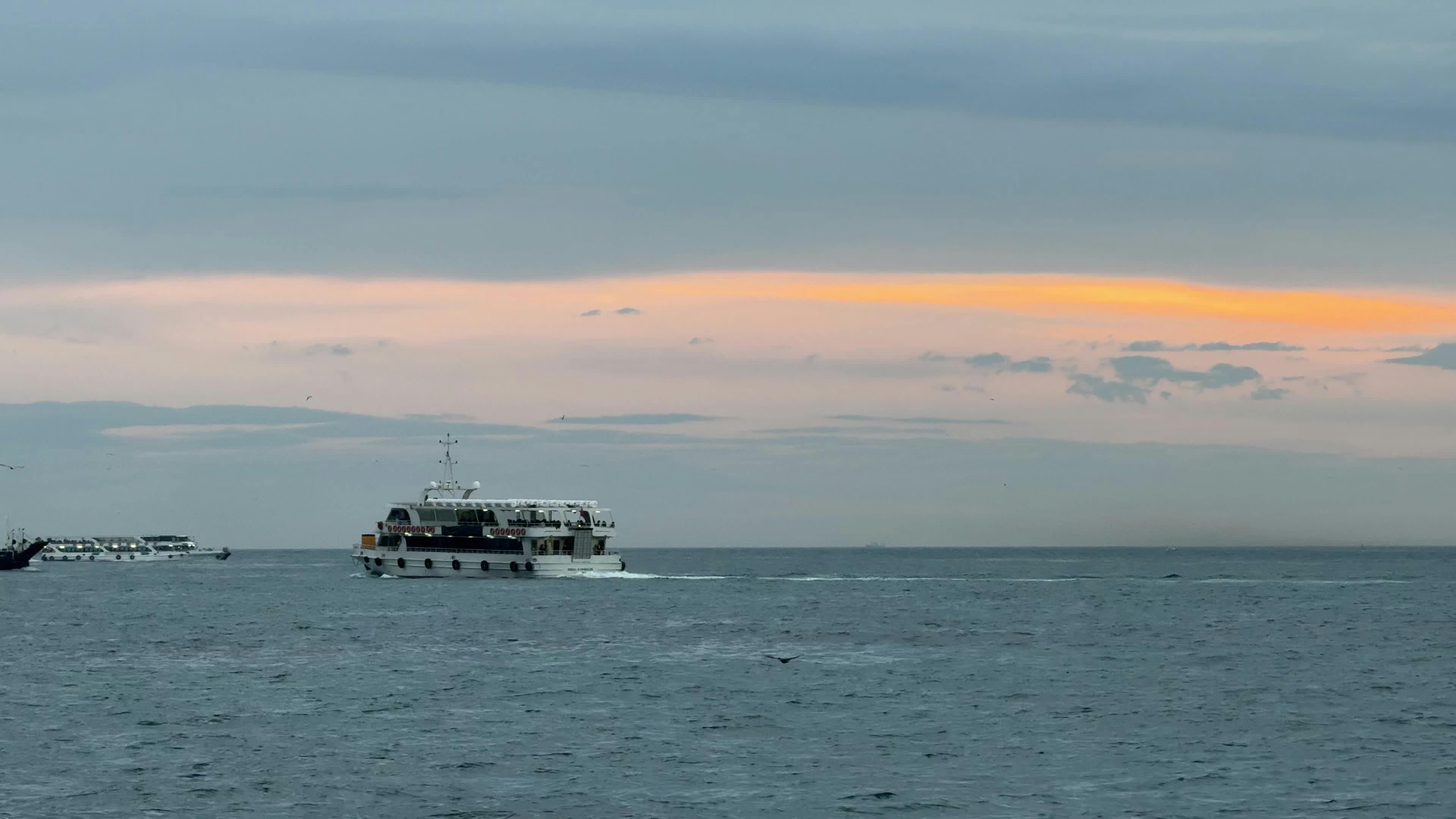 Stern Anker Targaryen Videos, Download The BEST Free 4k Stock Video ...