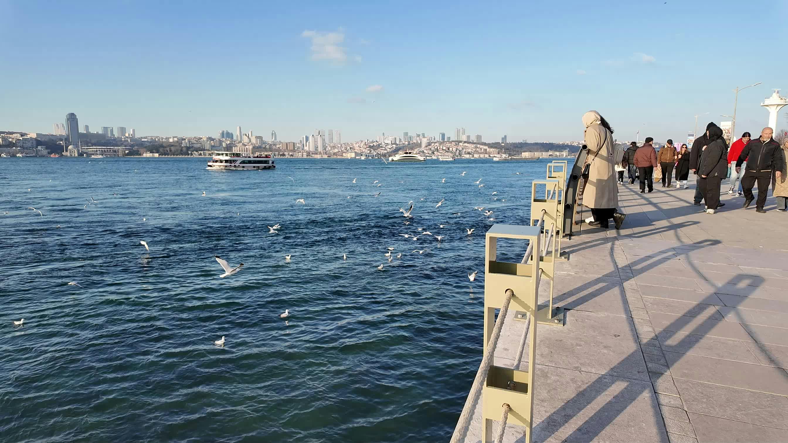 Scenic View of Istanbul Waterfront with Seagulls Free Stock Video ...
