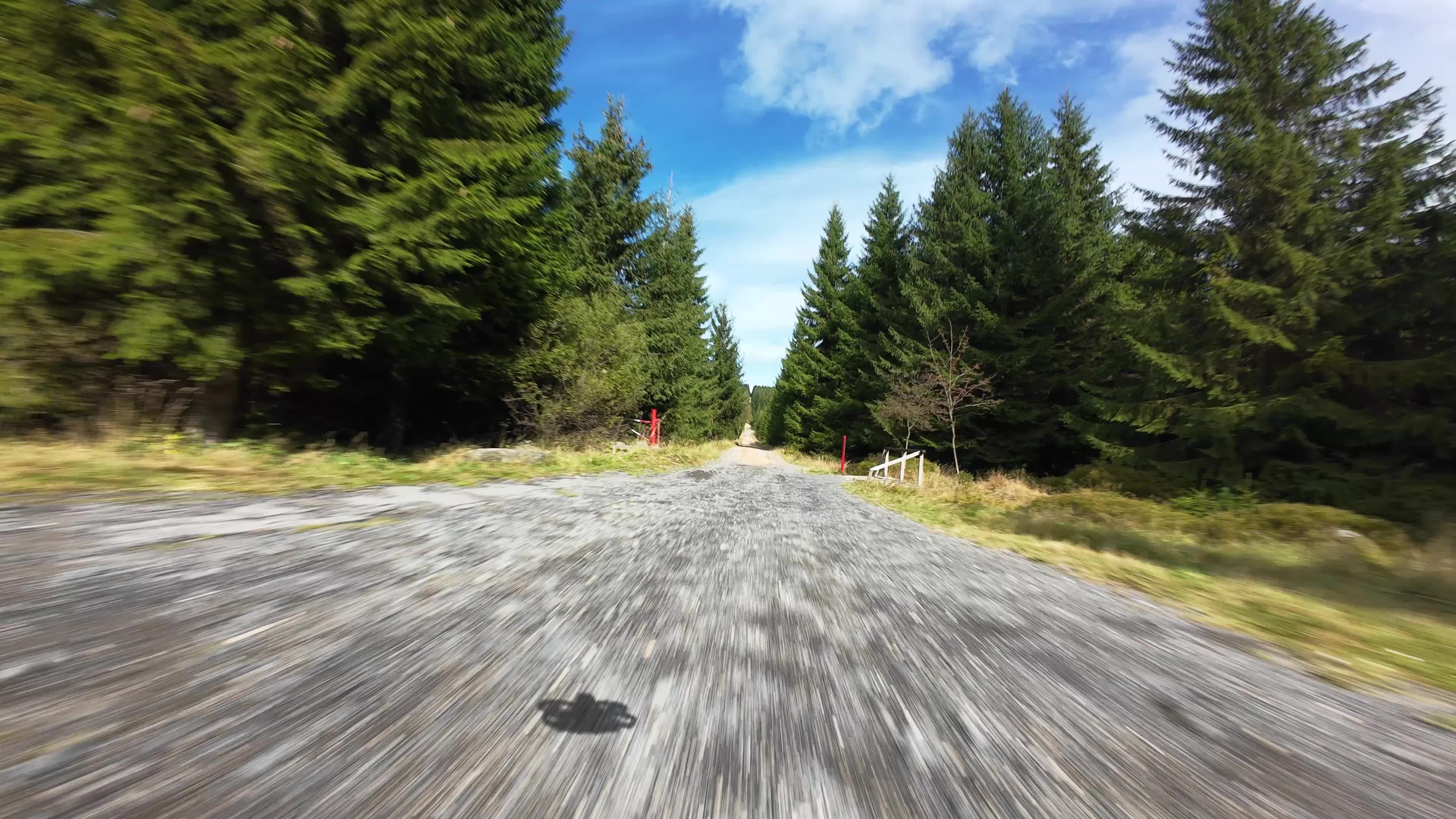 Dynamic Drone Footage of Forest Path at High Speed Free Stock Video ...