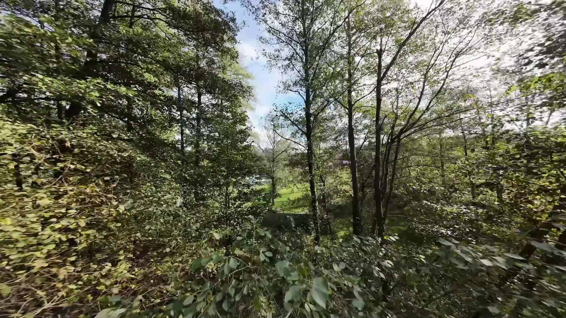 Trow Pool Videos, Download The BEST Free 4k Stock Video Footage & Trow ...