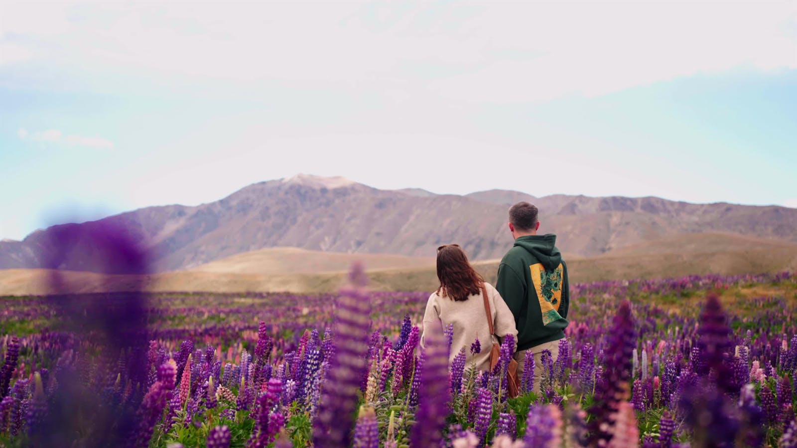 New Zealand Tourism Videos, Download The BEST Free 4k Stock Video ...