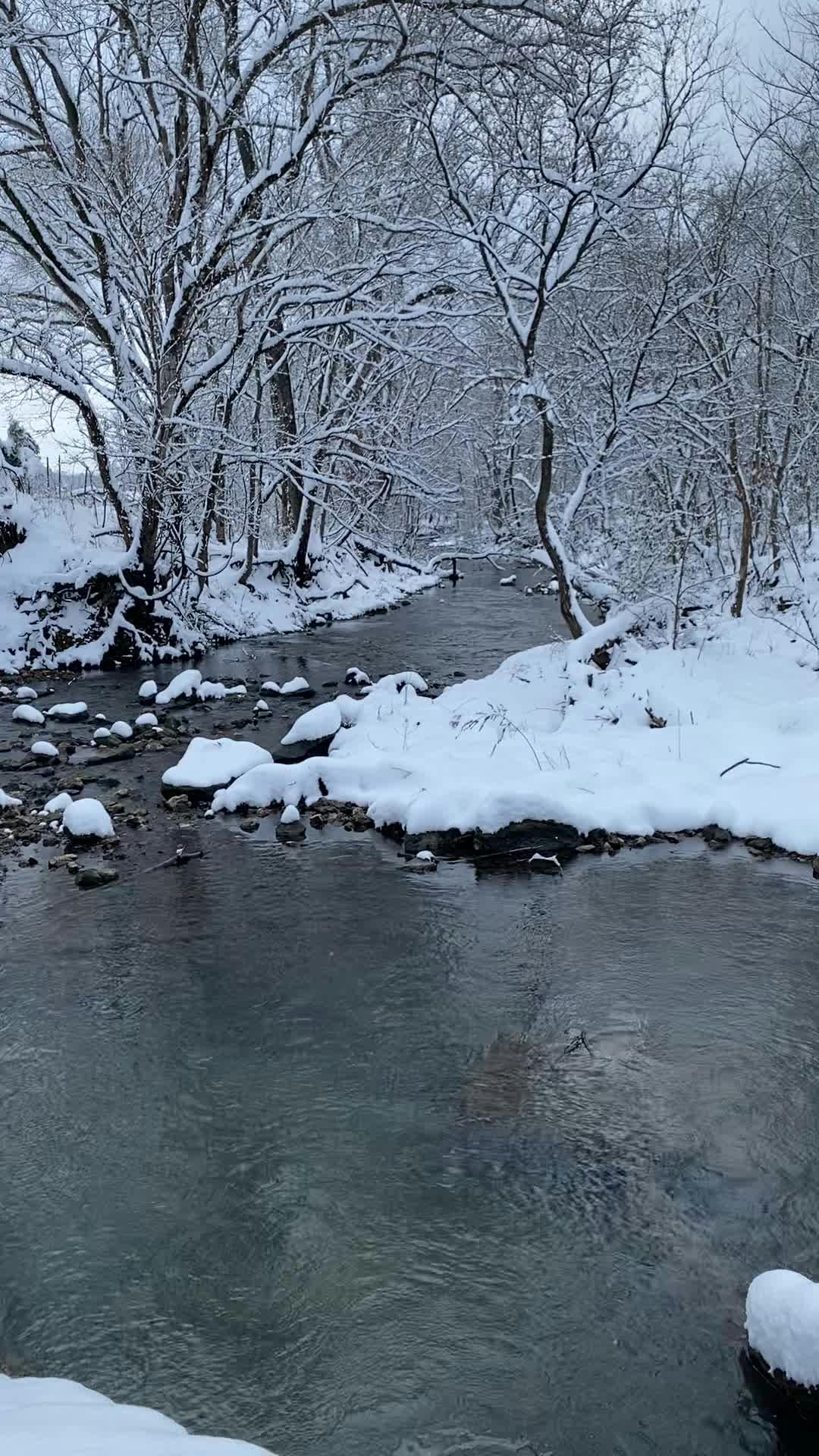 Natural Stream Videos, Download The BEST Free 4k Stock Video Footage ...