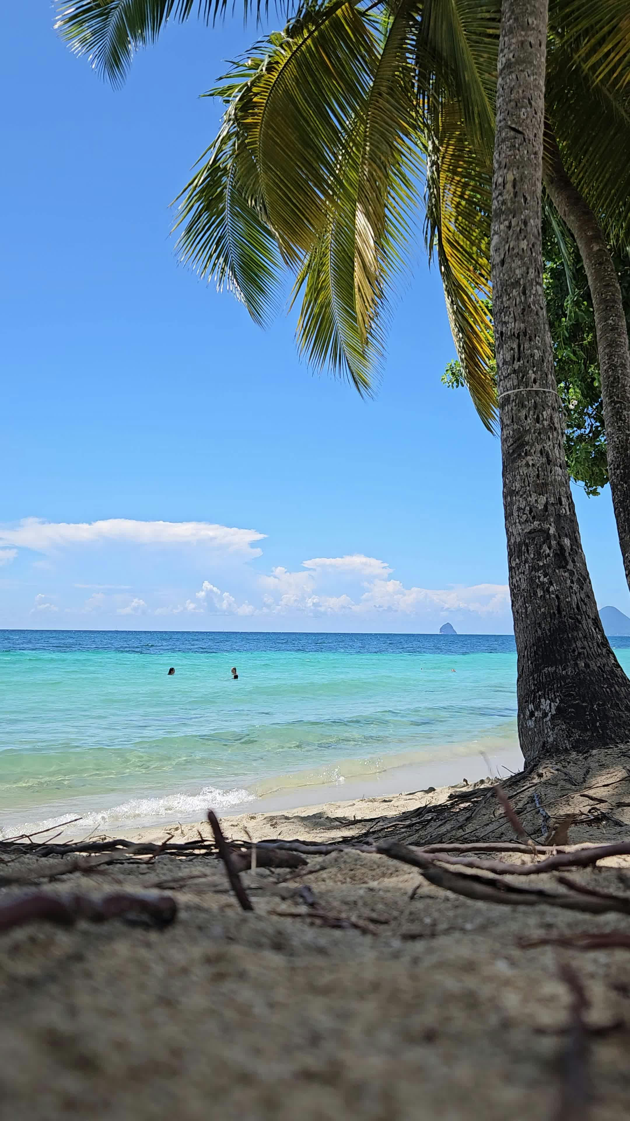 Icy Sun - Photography