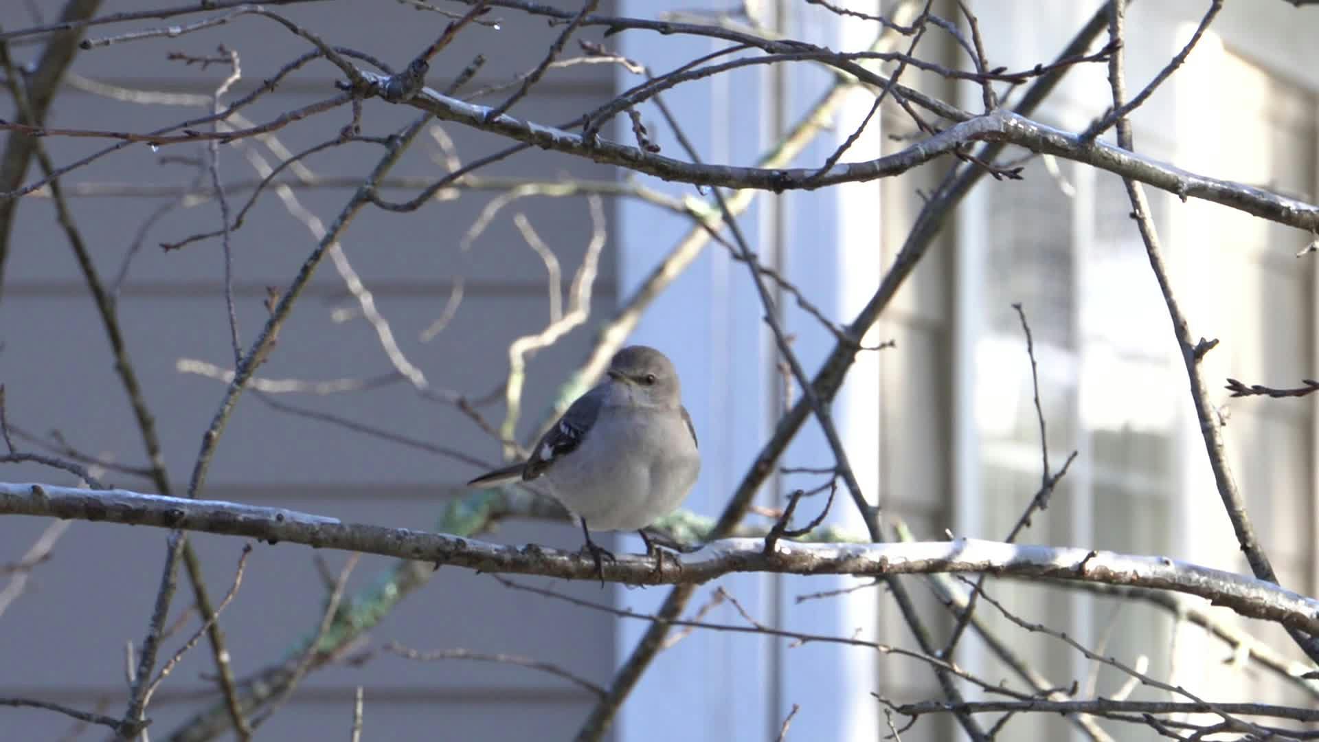 Short Term Videos, Download The BEST Free 4k Stock Video Footage ...