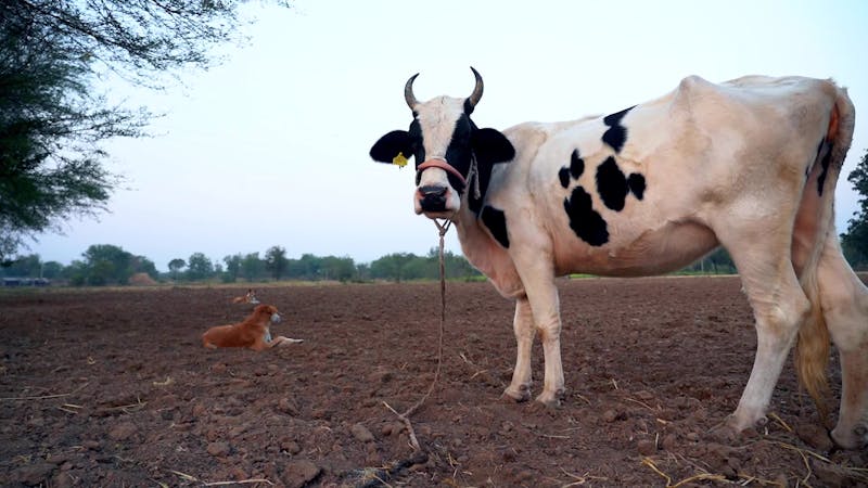 30 Second Video Videos, Download The BEST Free 4k Stock Video Footage ...