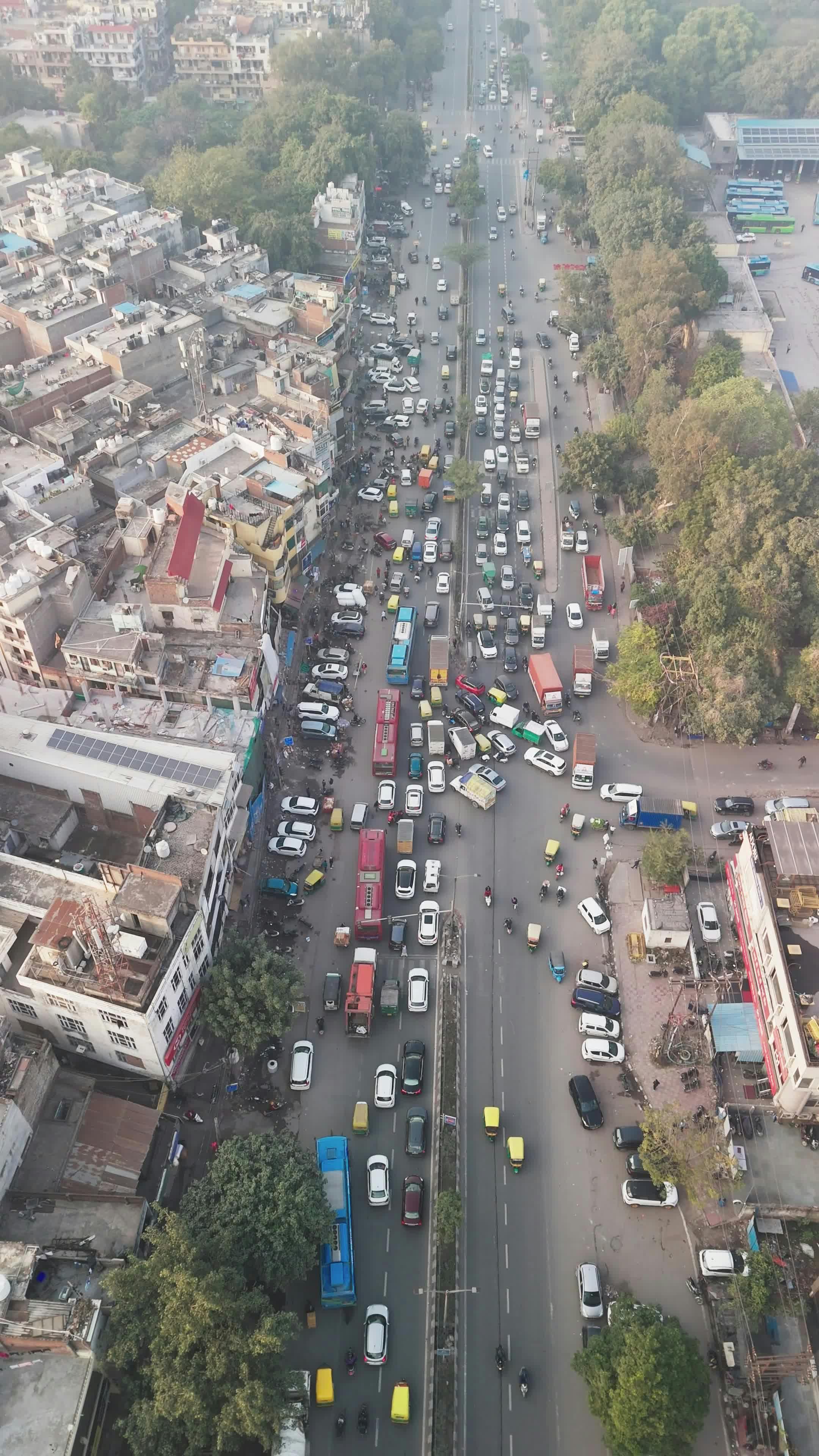 Genetic Diversity Videos, Download The BEST Free 4k Stock Video Footage ...