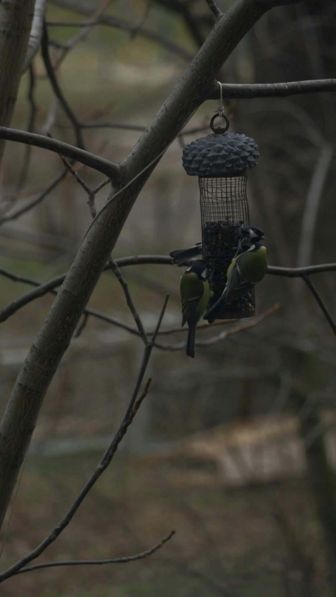 An Peace Videos, Download The BEST Free 4k Stock Video Footage & An ...