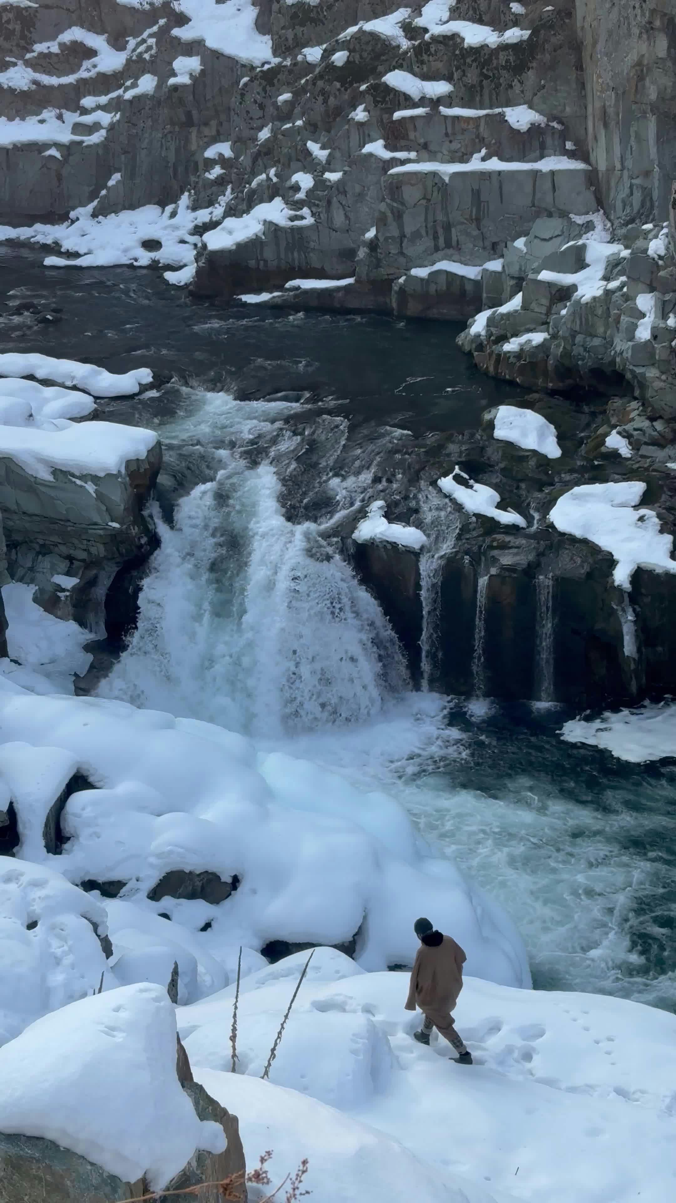 Canva+Wallpapers Videos, Download The BEST Free 4k Stock Video Footage ...