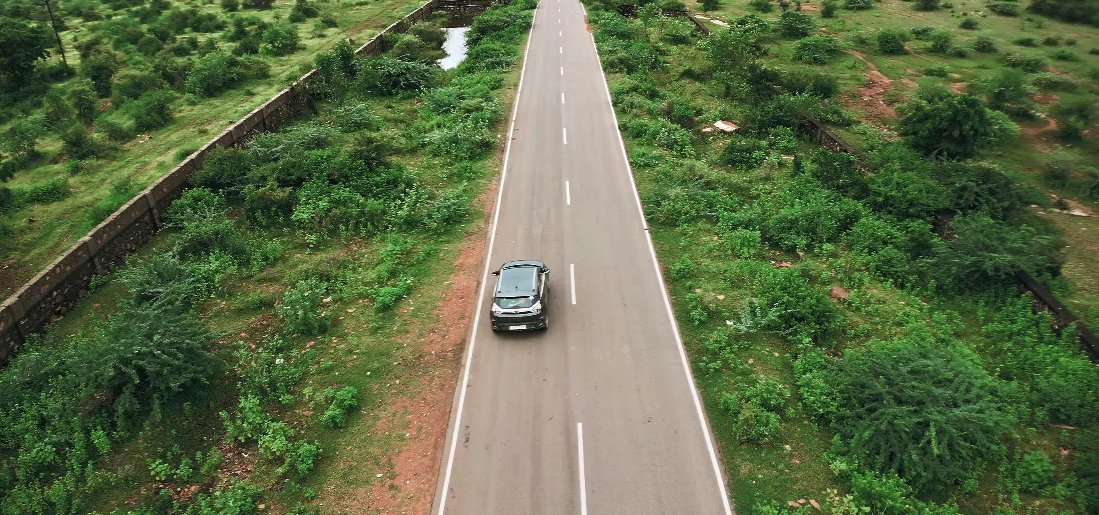 Anatomia Kota Videos, Download The BEST Free 4k Stock Video Footage ...