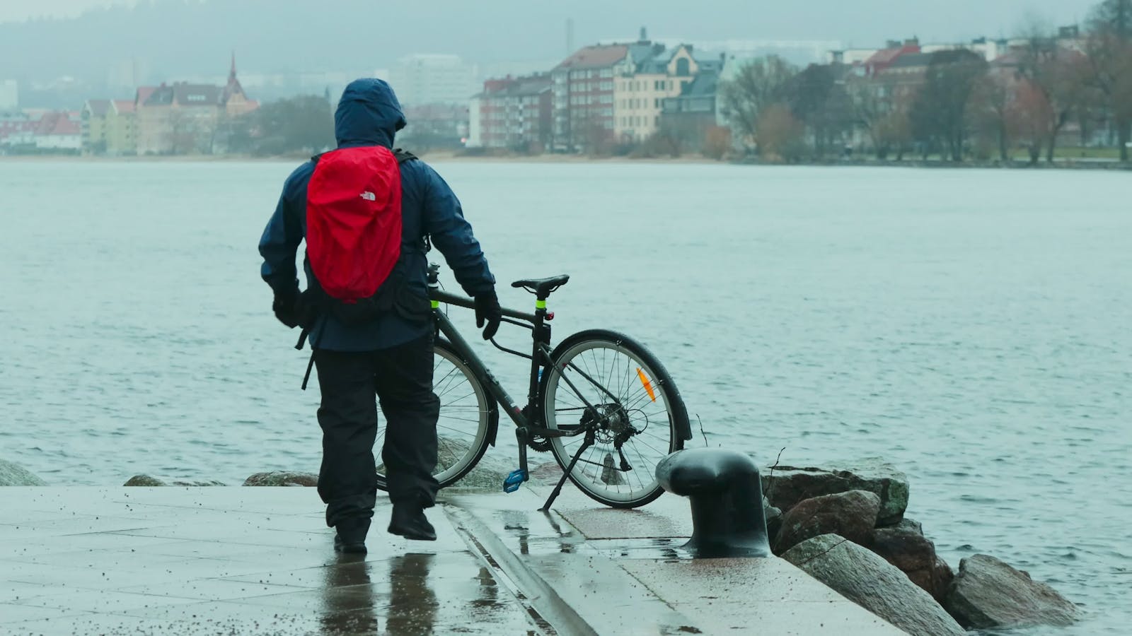 Videos Pixabay Videos, Download The BEST Free 4k Stock Video Footage ...