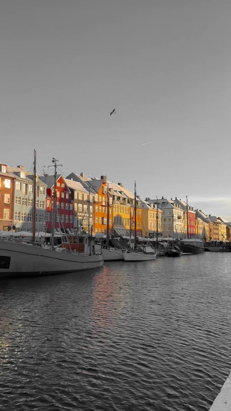 Video Pexels Videos, Download The BEST Free 4k Stock Video Footage ...