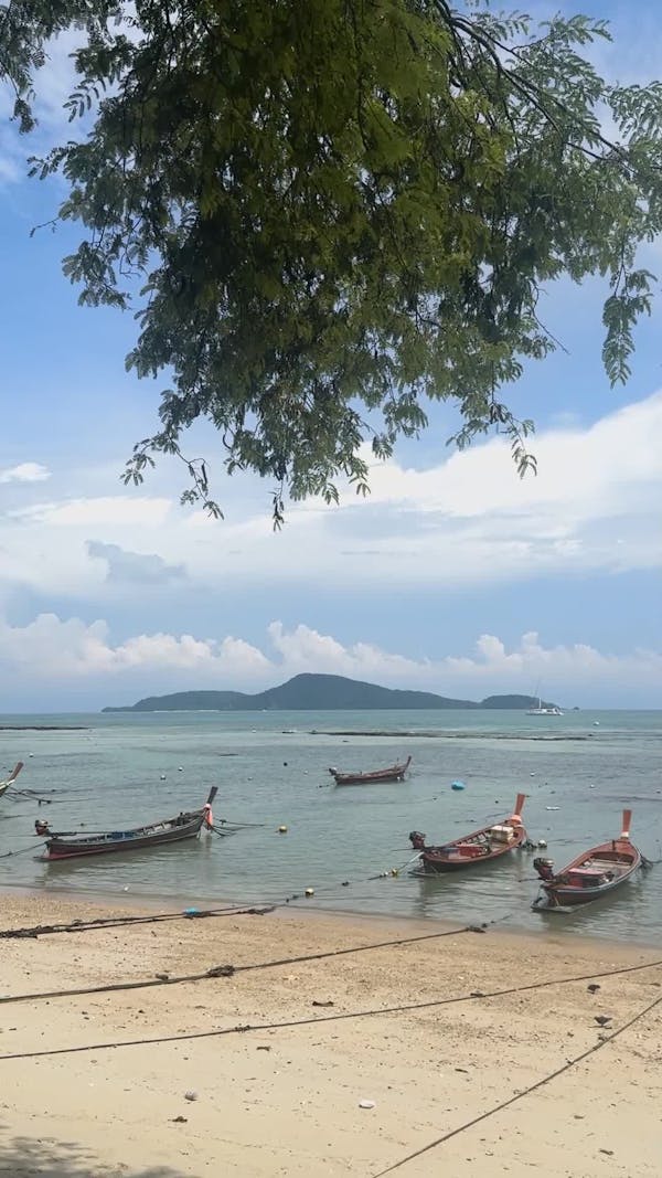 Bangla+Cuda+Cudi Videos, Download The BEST Free 4k Stock Video Footage ...