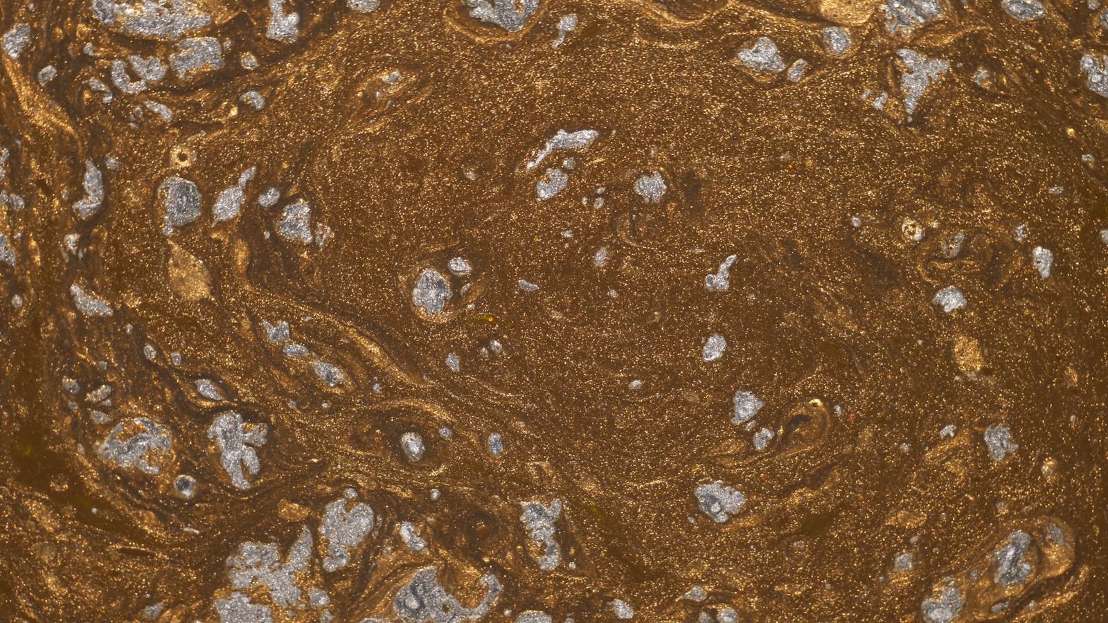 Nature Loop Videos, Download The BEST Free 4k Stock Video Footage ...