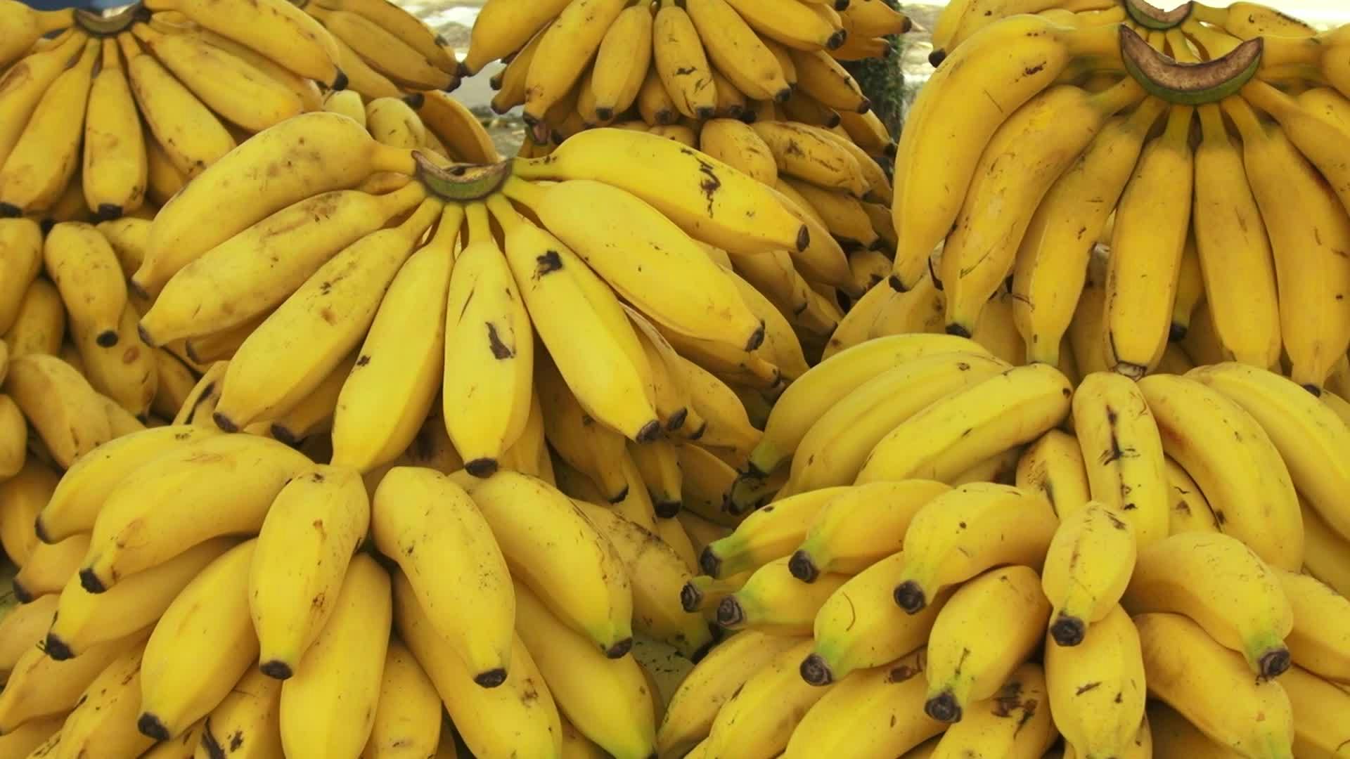 3.000+ Video ,kk+lhkngjhgjn&form=qbre&sp=-1&lq=0&pq=&sc=0-0&sk=&cvid ...